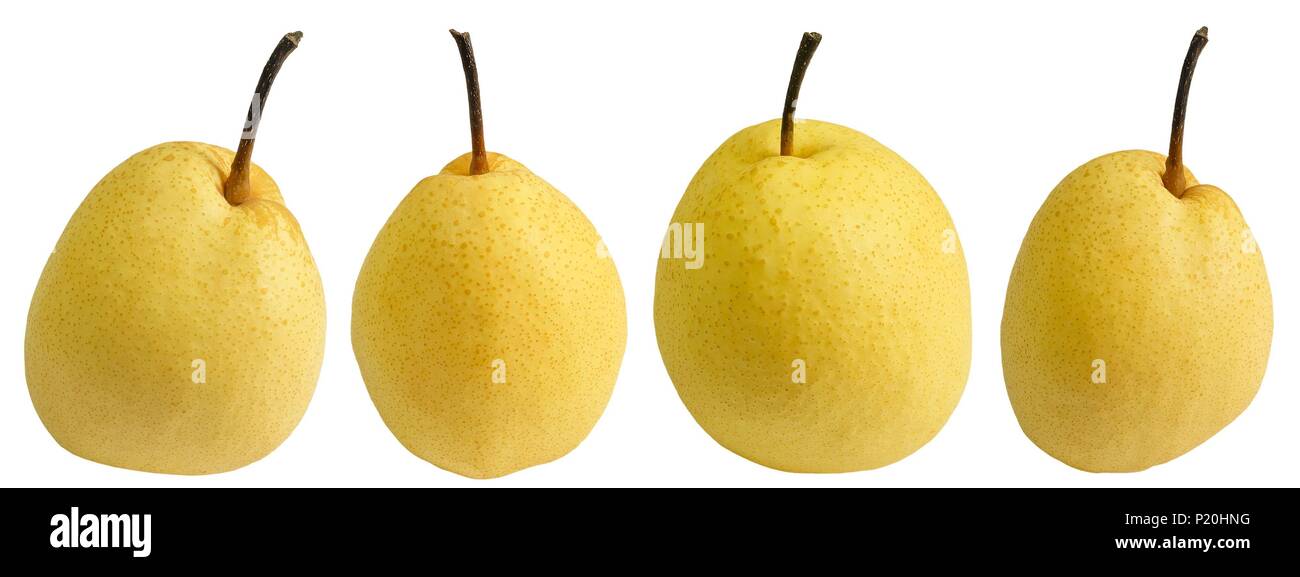 Fresh Fruits, Illustration of Delicious Sweet Nashi Pears, Asian Pears ...