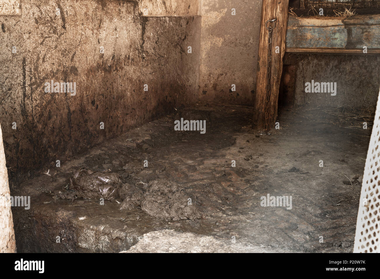 Mammal dung hi-res stock photography and images - Alamy