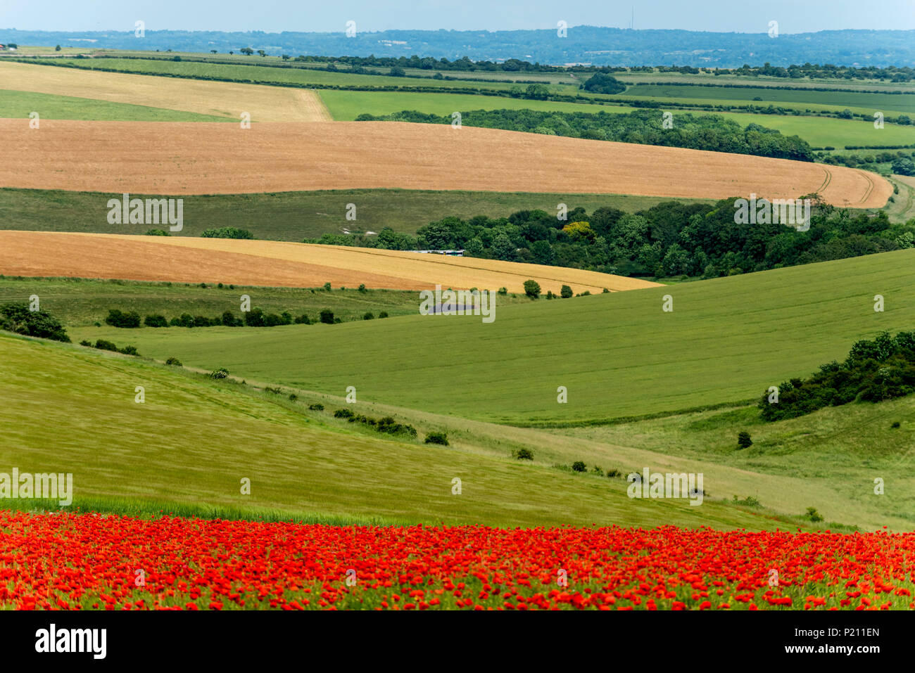 South Downs. 13th Jun, 2018. UK Weather: Poppy field on the South Downs ...