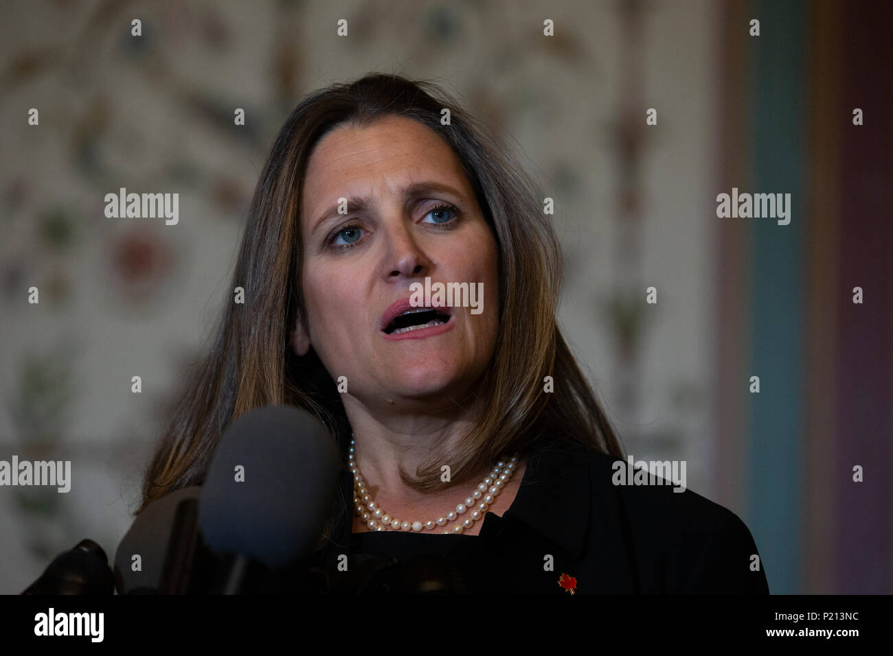 Minister of Foreign Affairs of Canada Chrystia Freeland speaks with ...