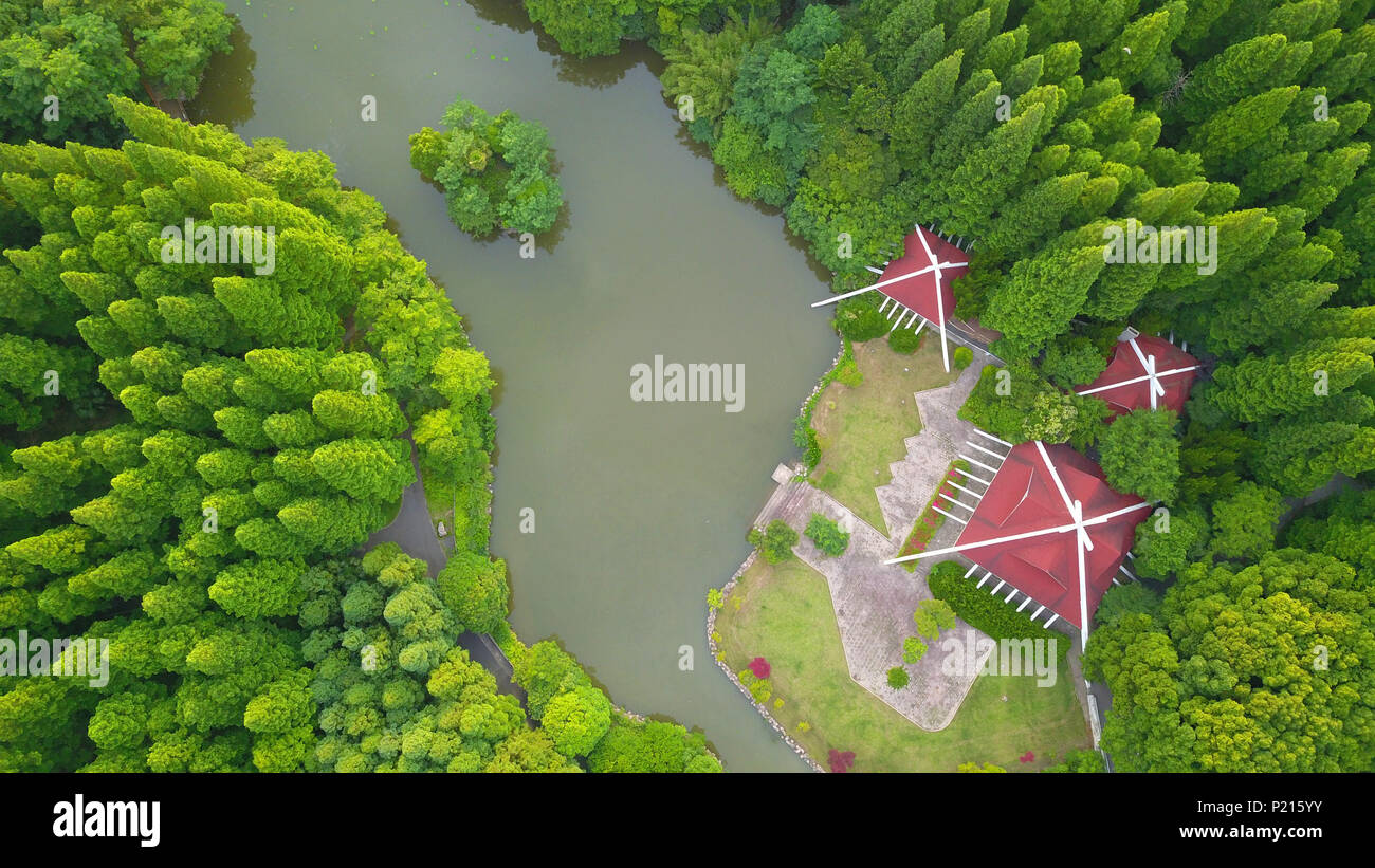 Dongping national forest park hi-res stock photography and images - Alamy