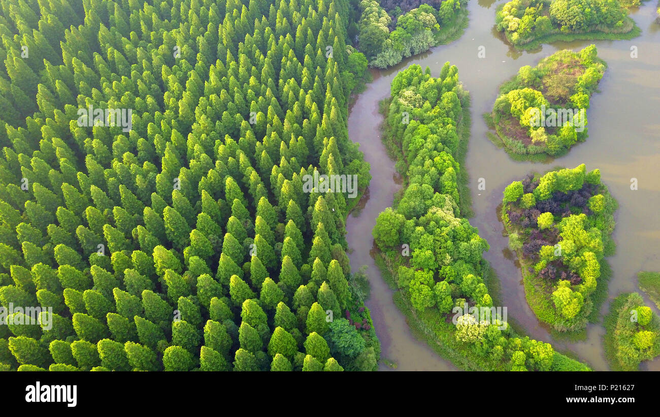 Dongping national forest park hi-res stock photography and images - Alamy