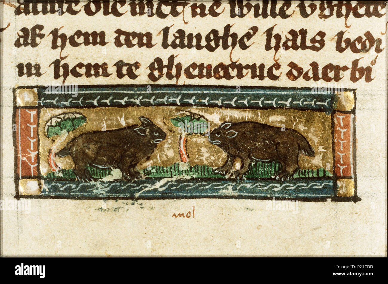 Mole and thomas hi-res stock photography and images - Alamy