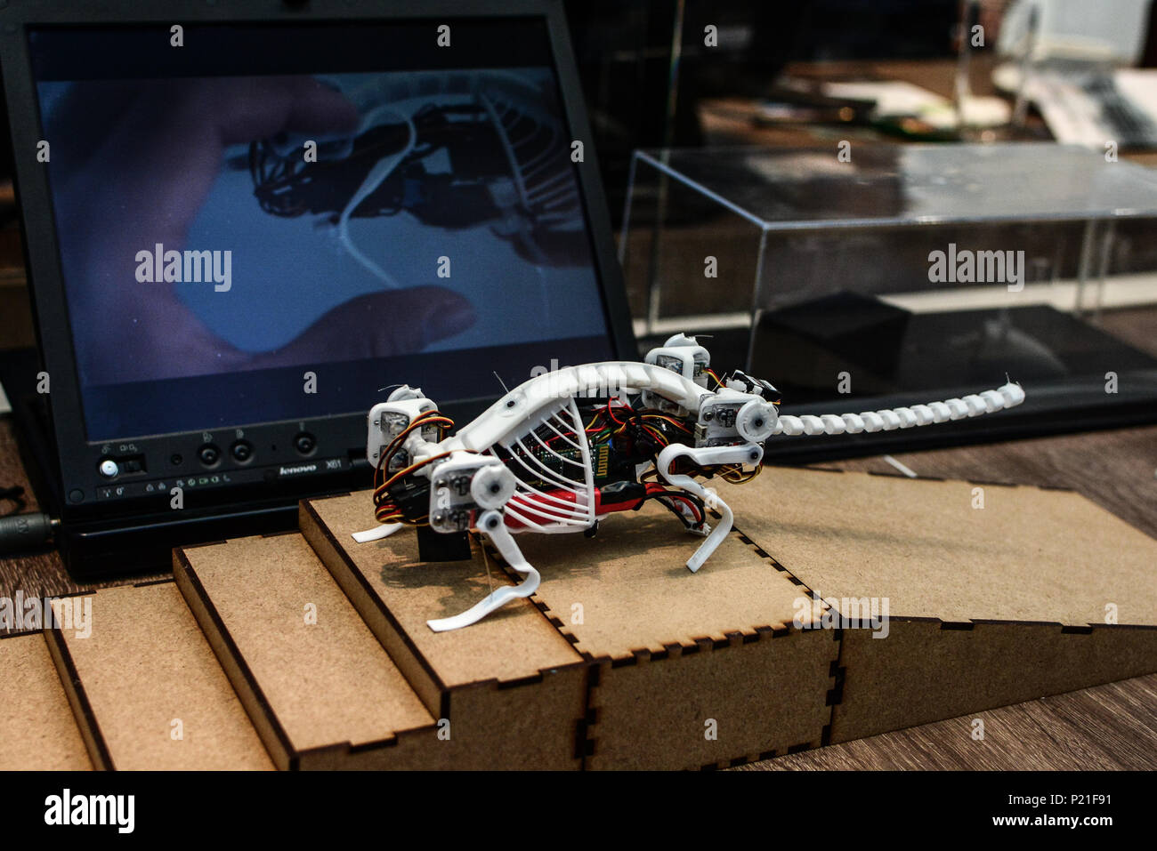 Mimetric hi-res stock photography and images - Alamy