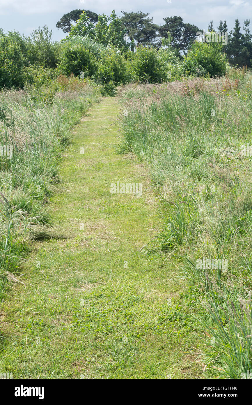 Mown grass path garden hi-res stock photography and images - Alamy