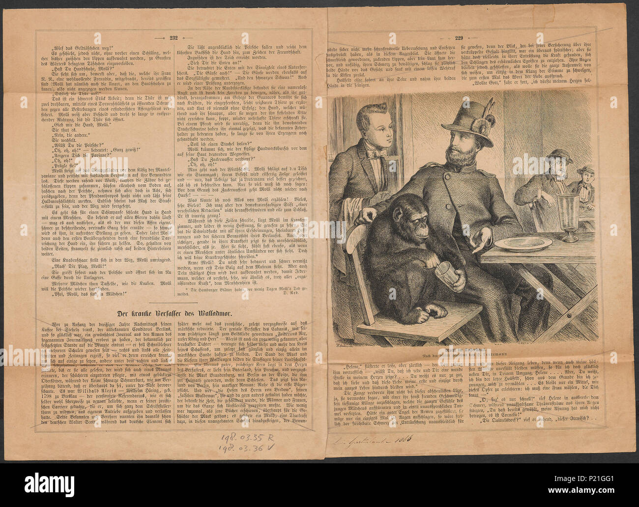 Troglodytes niger hi-res stock photography and images - Alamy