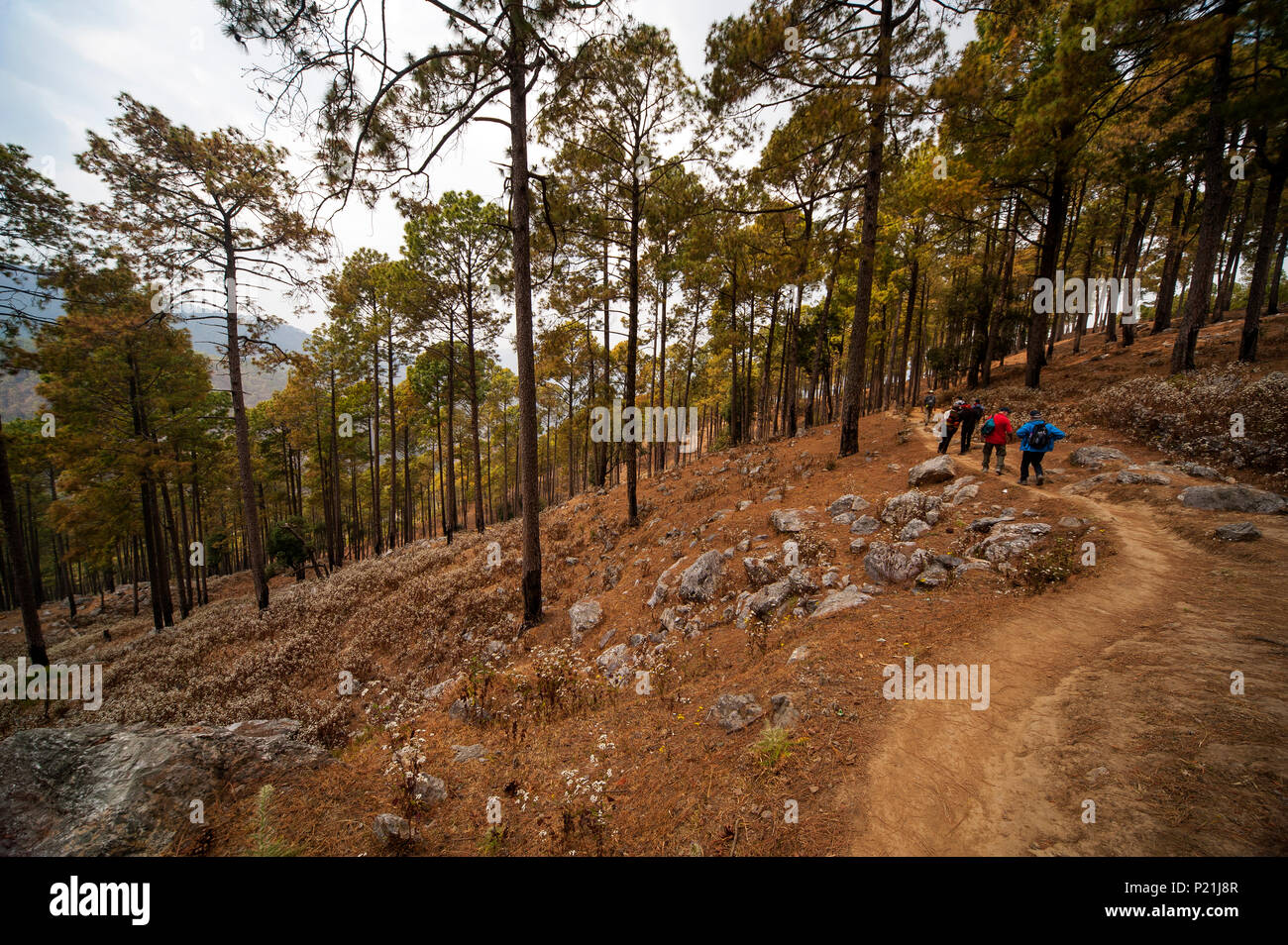 Valley where Jim Corbett shot the Chowgarh maneating tigress, Kala Agar ...
