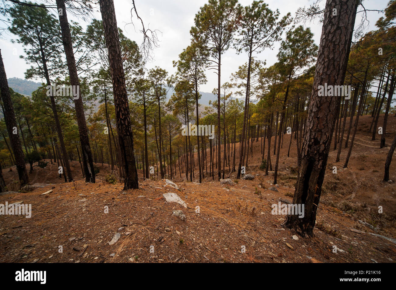 Valley where Jim Corbett shot the Chowgarh maneating tigress, Kala Agar ...