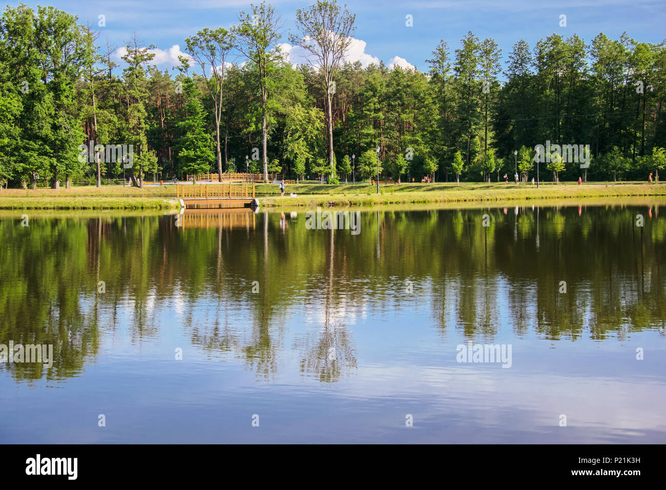 Idyllic view at the lake near the forest with water reflections Stock ...