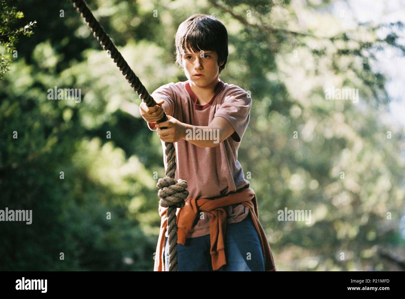Original Film Title: BRIDGE TO TERABITHIA. English Title: BRIDGE TO ...