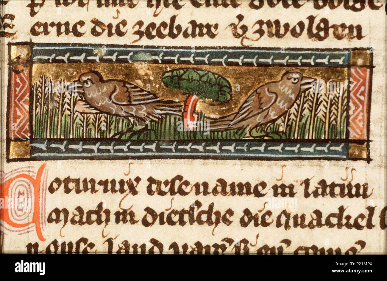 . Coturnix (quail) - miniature from folio 082v from Der naturen bloeme ...