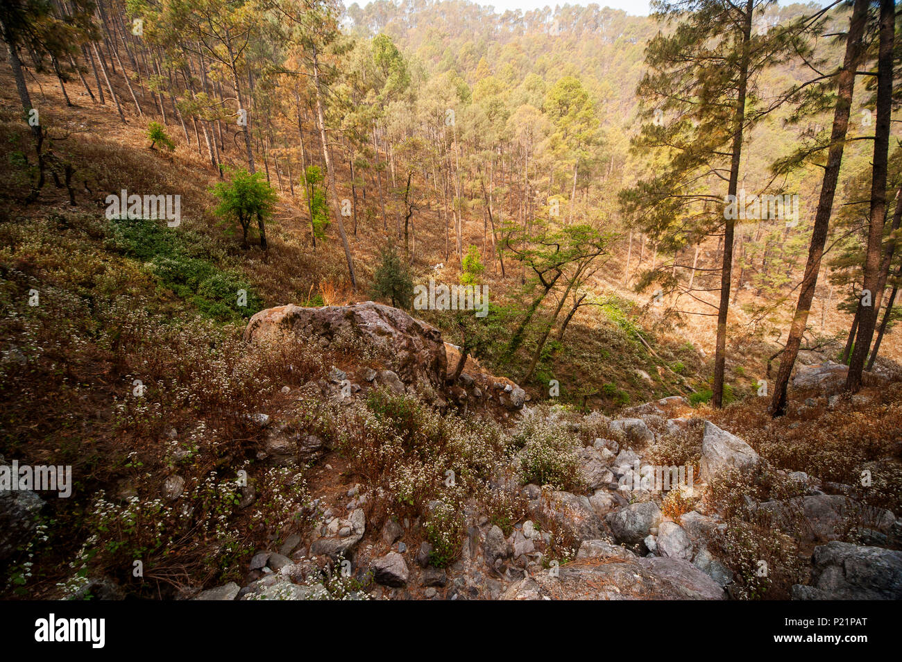 Valley where Jim Corbett shot the Chowgarh maneating tigress, Kala Agar ...