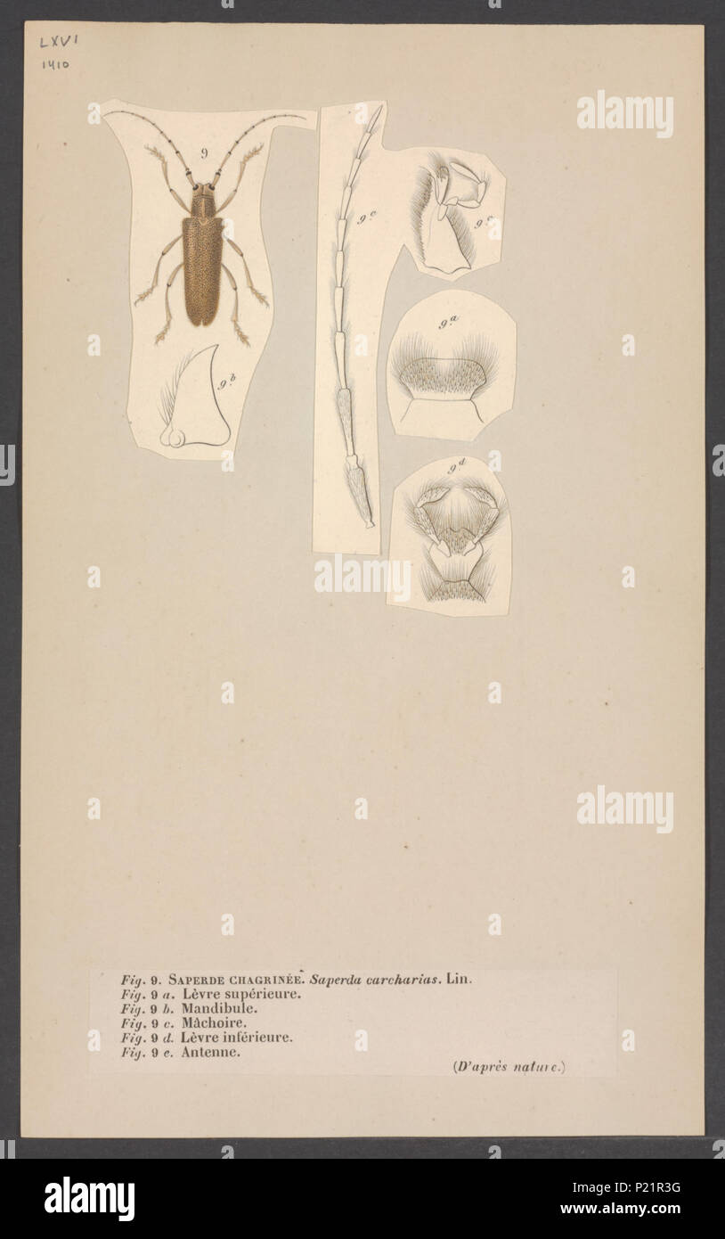 10 0052 hi-res stock photography and images - Alamy