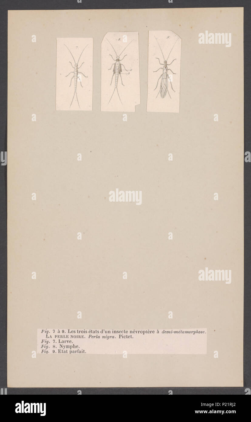 221 03 hi-res stock photography and images - Alamy