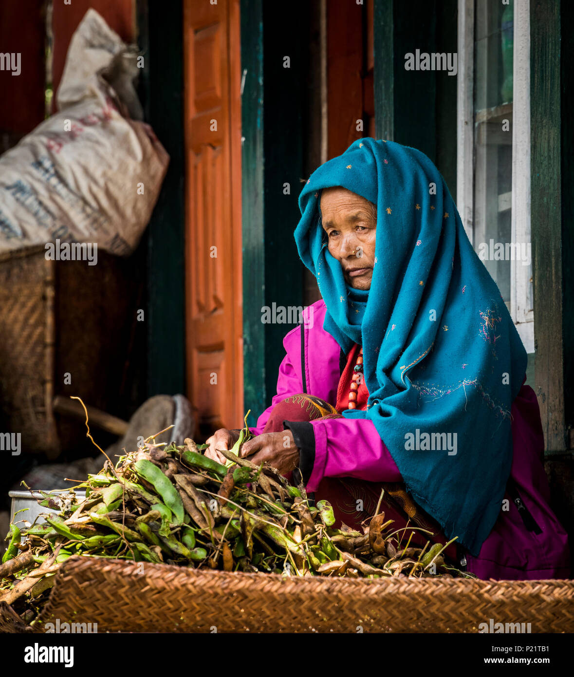 A nepalese woman shelling peas from her harvest on the porch in front ...