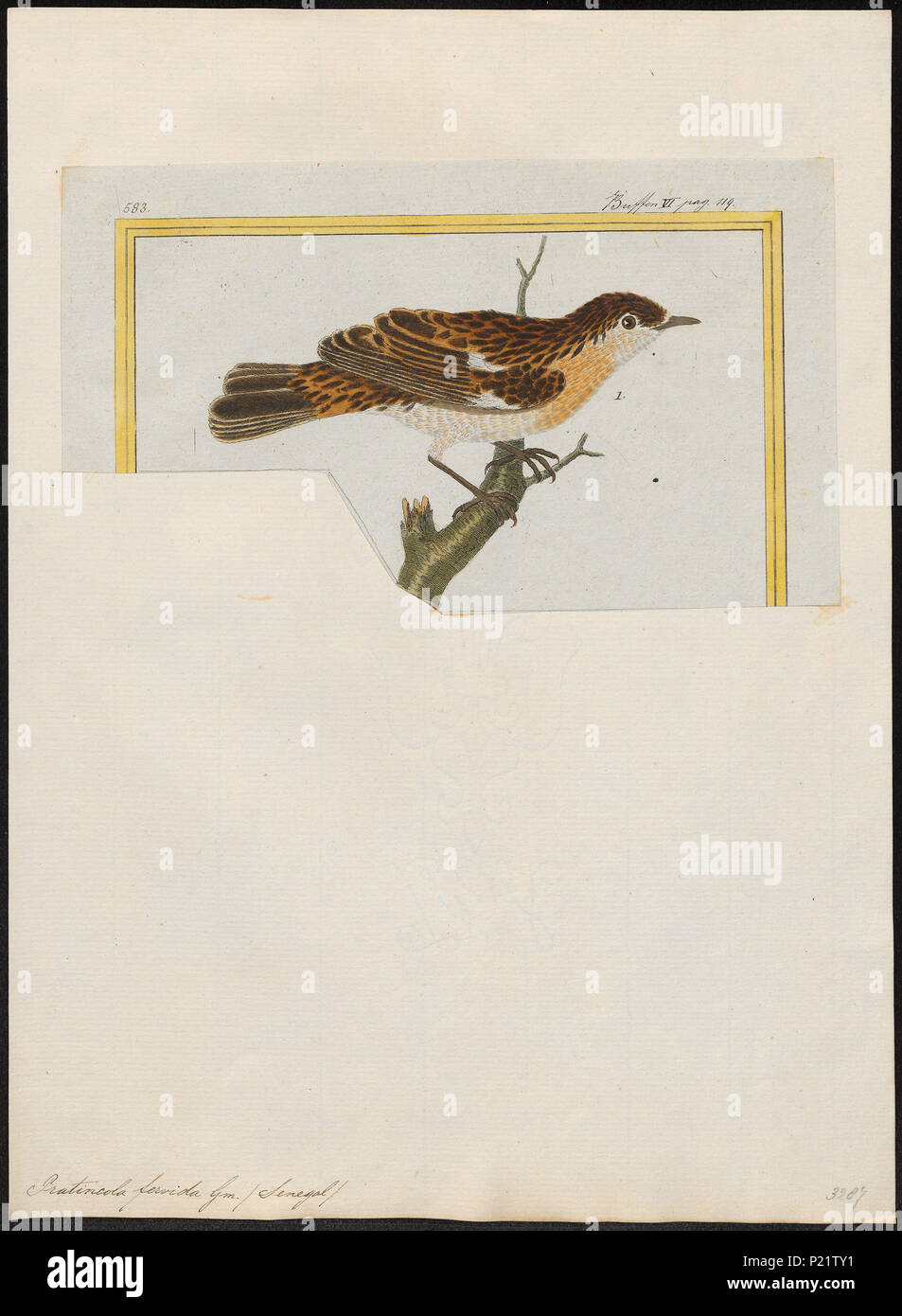 Fervida hi-res stock photography and images - Alamy