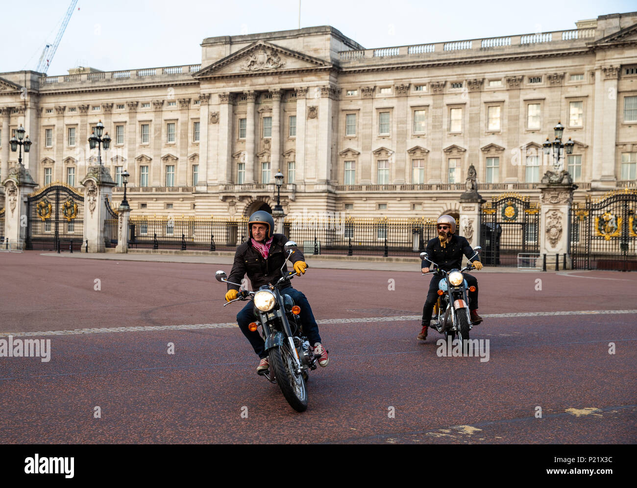 Ambassadors for their cousins in hi-res stock photography and images ...