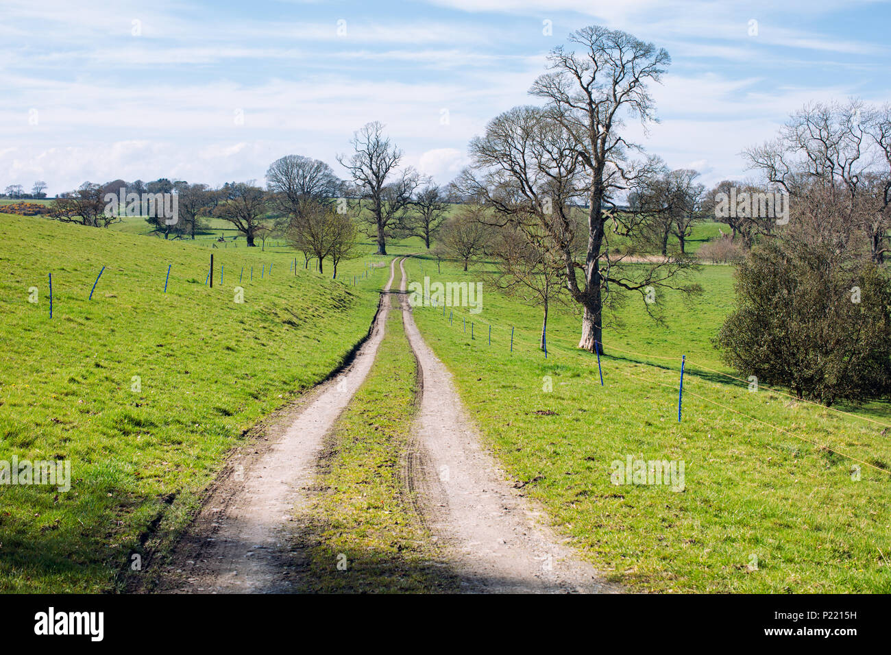 Sunny spring countryside,Northern Ireland Stock Photo - Alamy