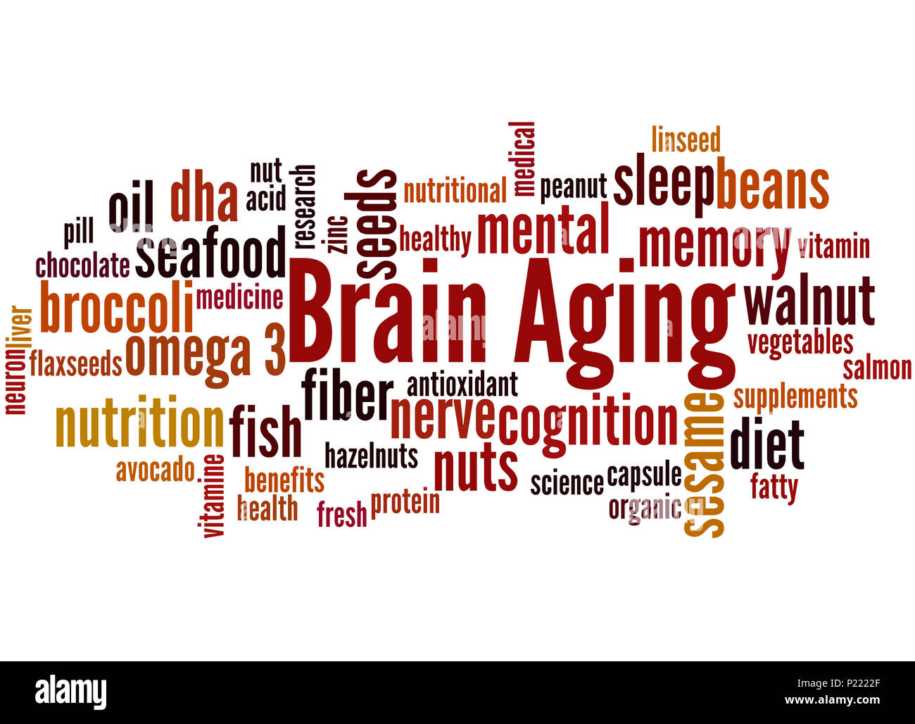 Brain Aging, word cloud concept on white background Stock Photo - Alamy
