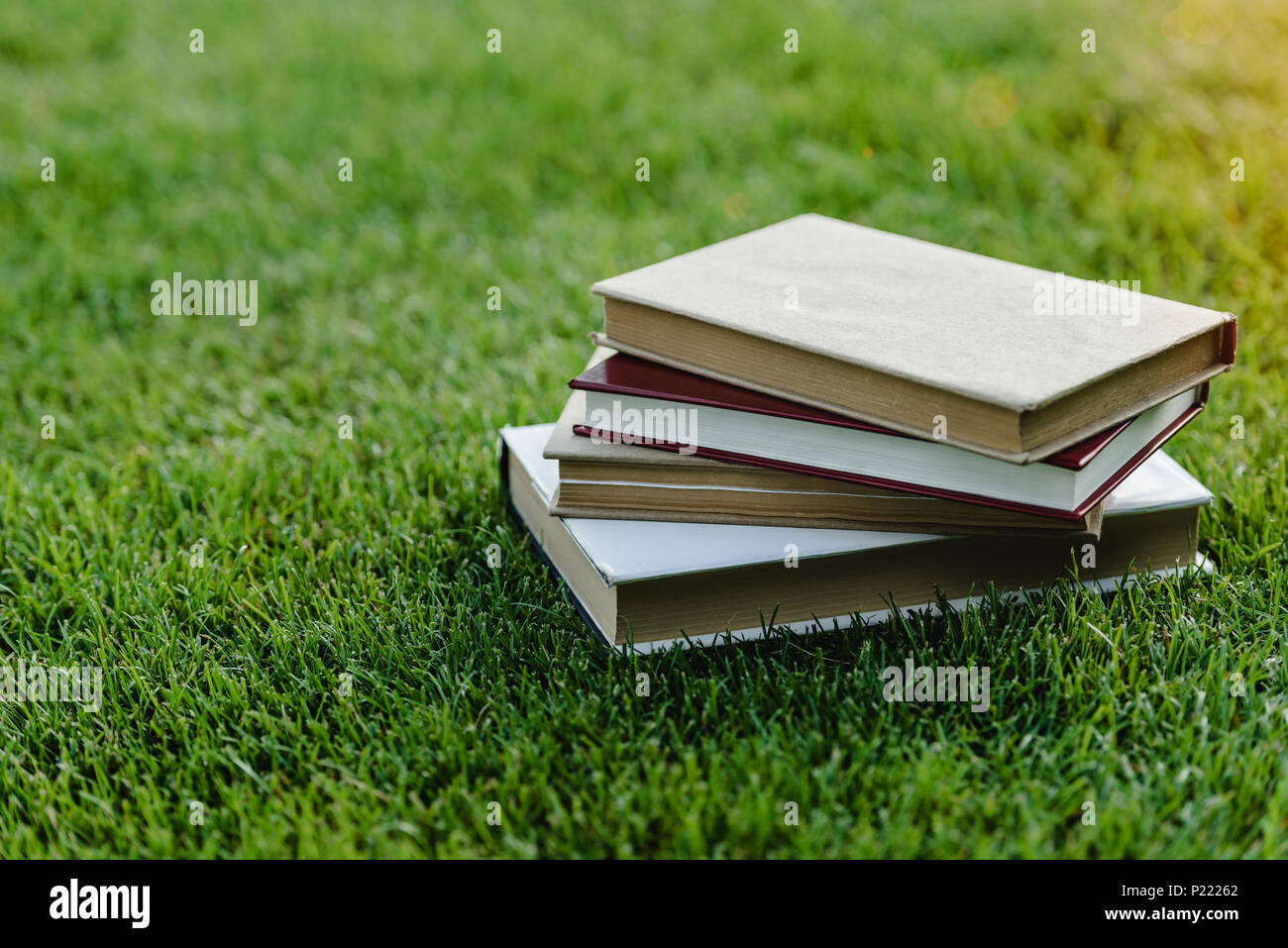 Close-up view of pile of books on green grass at sunset Stock Photo - Alamy