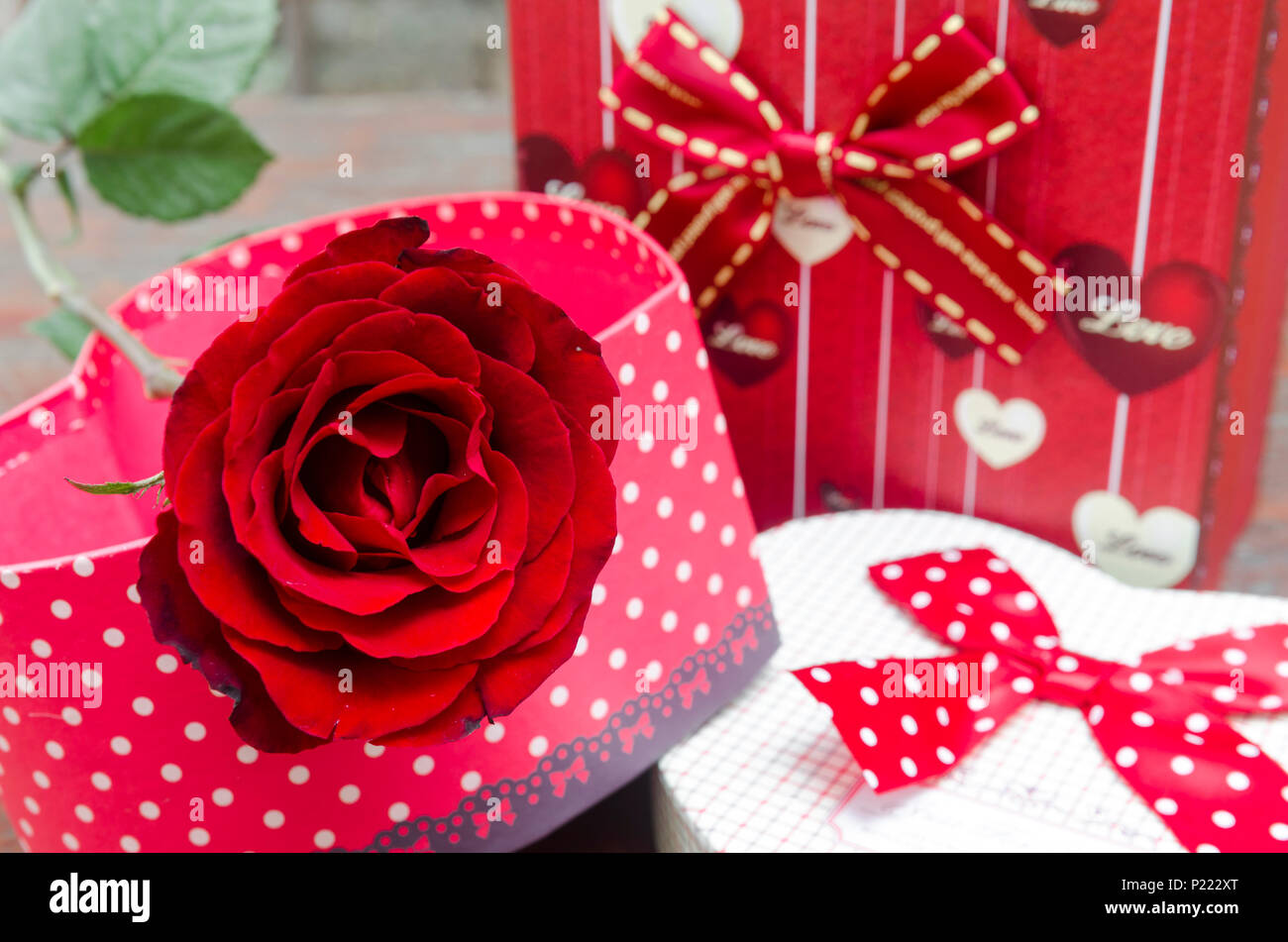 red rose flower with gift box for Valentine's Day Stock Photo - Alamy
