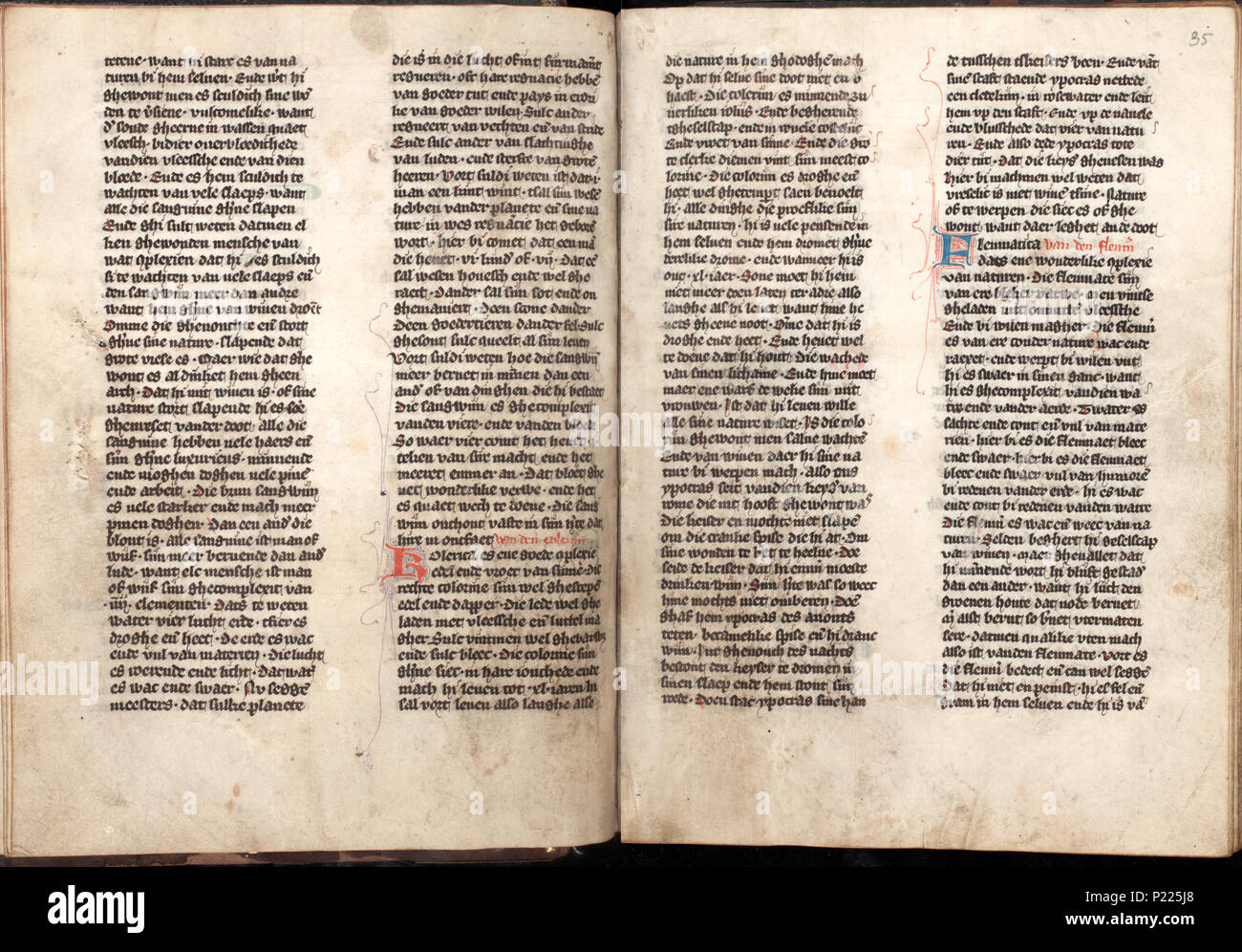 Thomas van den hi-res stock photography and images - Alamy