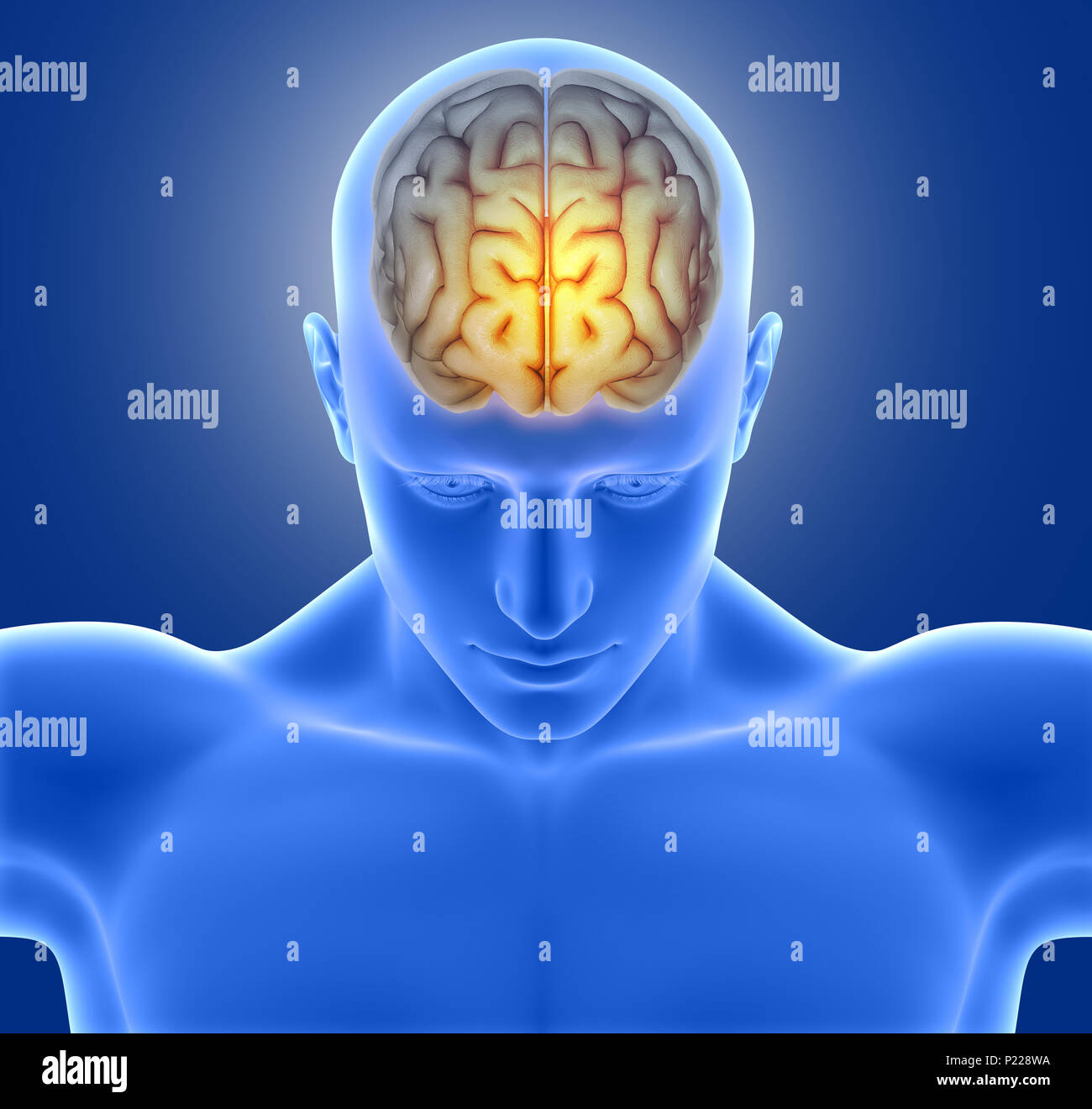3D render of a medical image of a male figure with brain highlighted ...