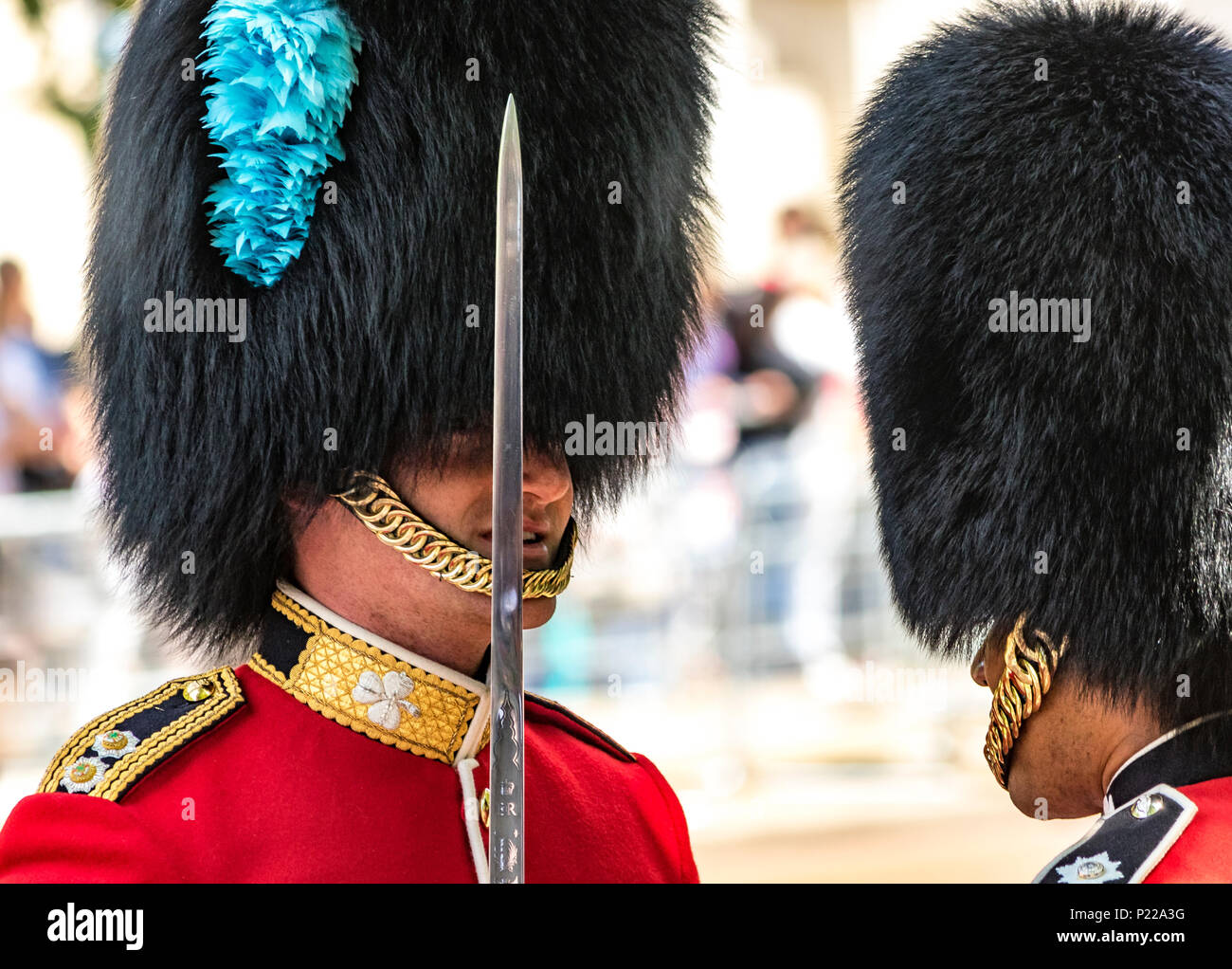 An officer of The Irish Guards inspecting a soldier on street lining ...