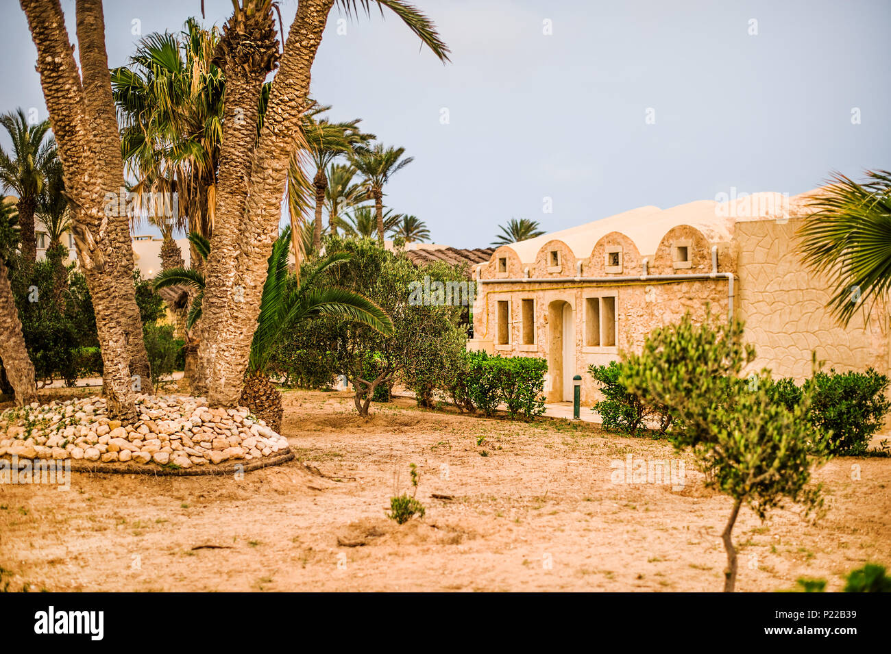street, palms and buildings in the Arab city Stock Photo - Alamy
