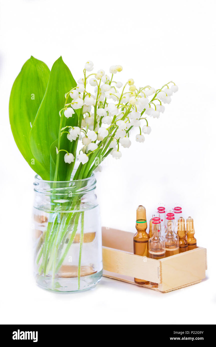 Medicinal plant, lily of the valley Stock Photo - Alamy