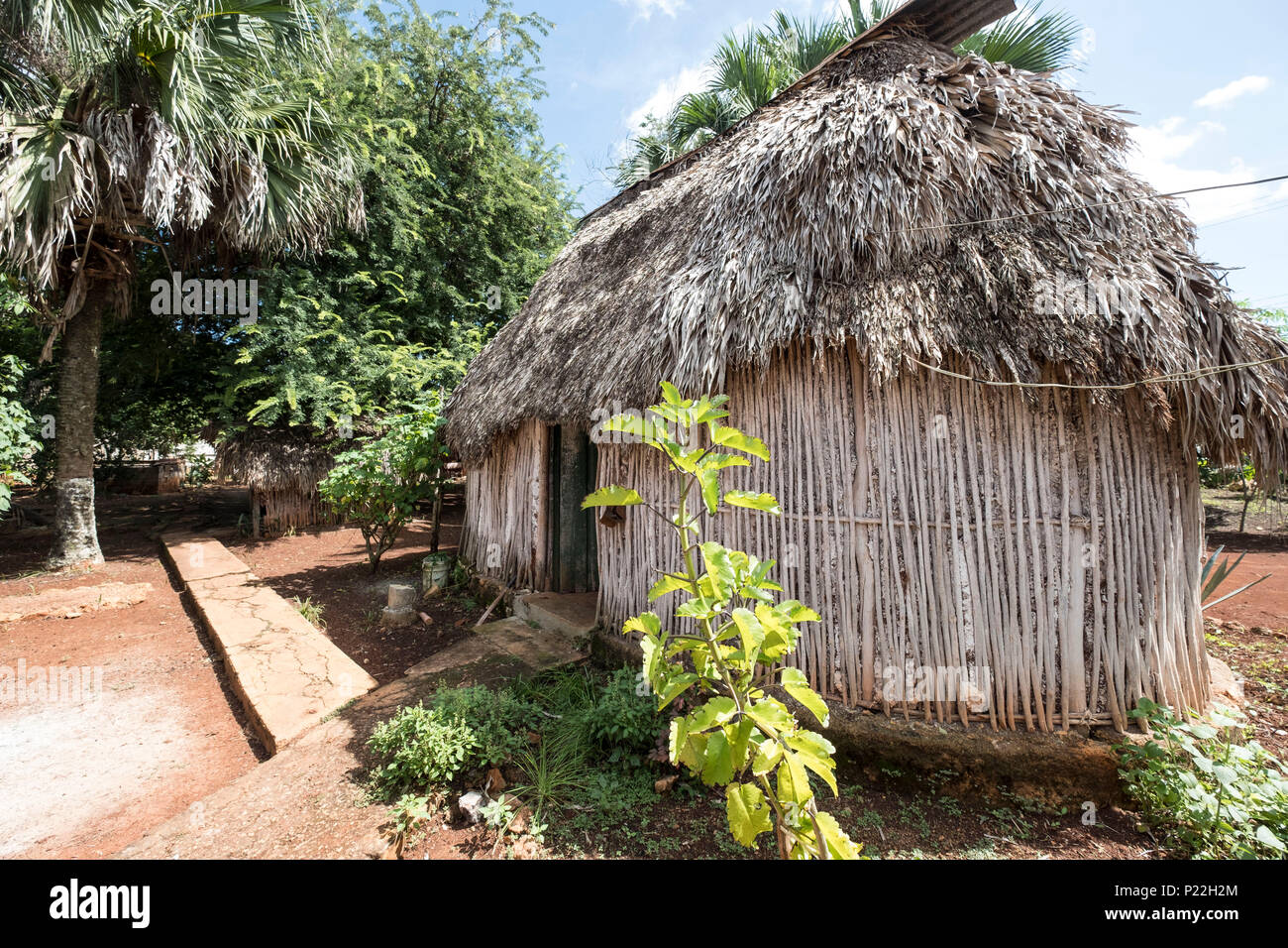 Traditional Mayan house in the state of Yucatan in Mexico Stock Photo ...