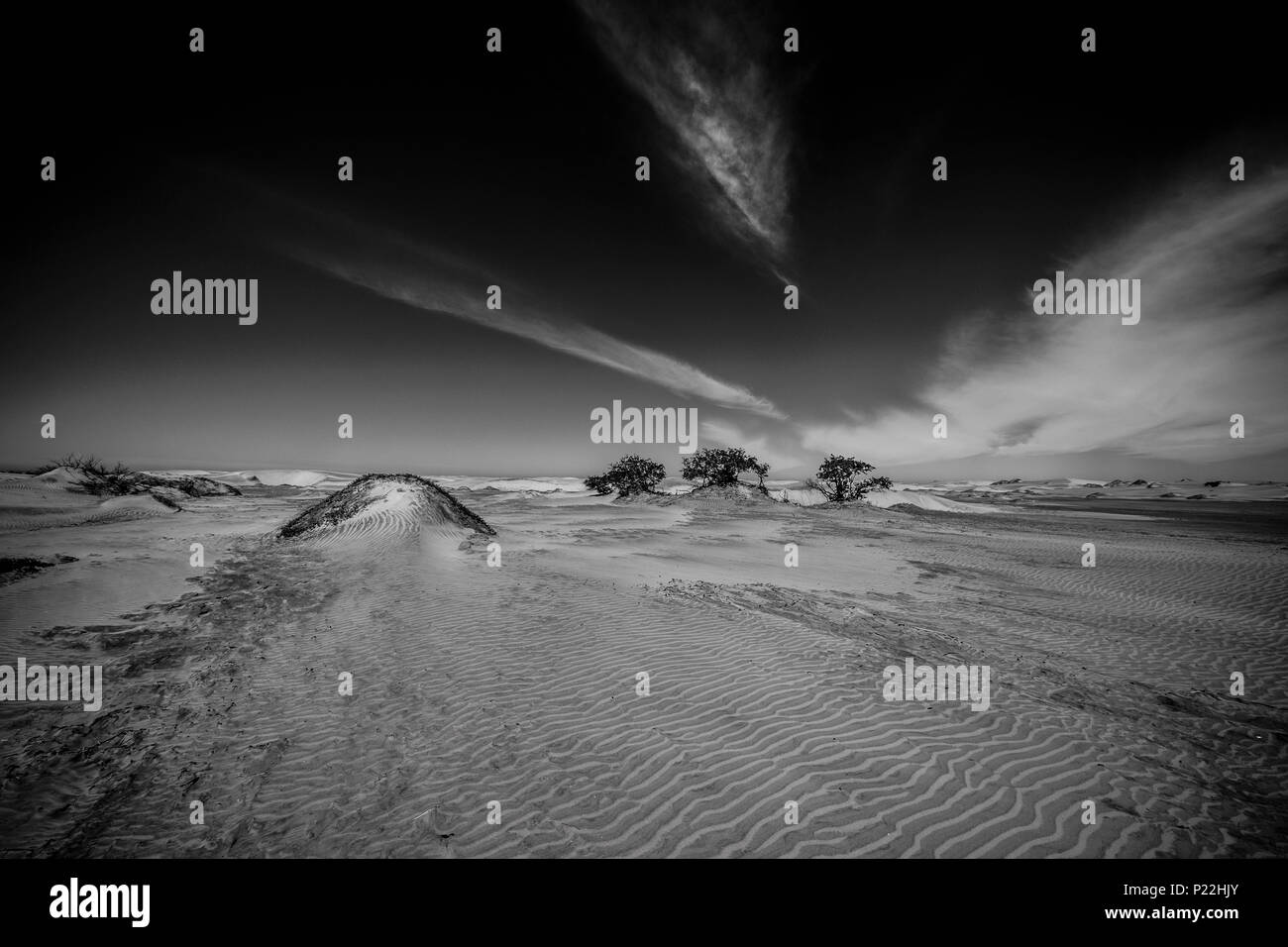 Magdalena bay mexico Black and White Stock Photos & Images - Alamy