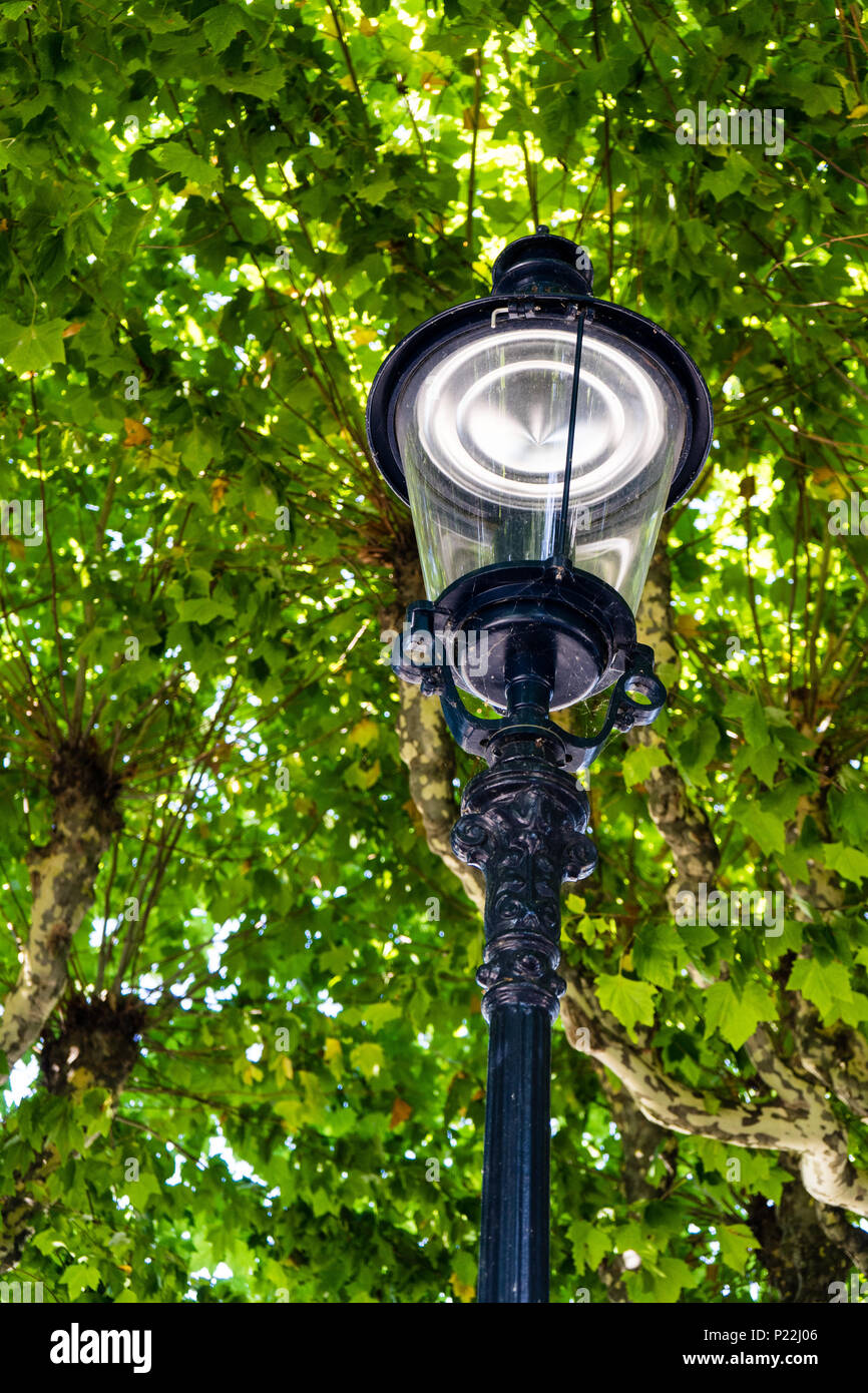 Vintage Street Lamp in front of a tree historic retro design Stock ...