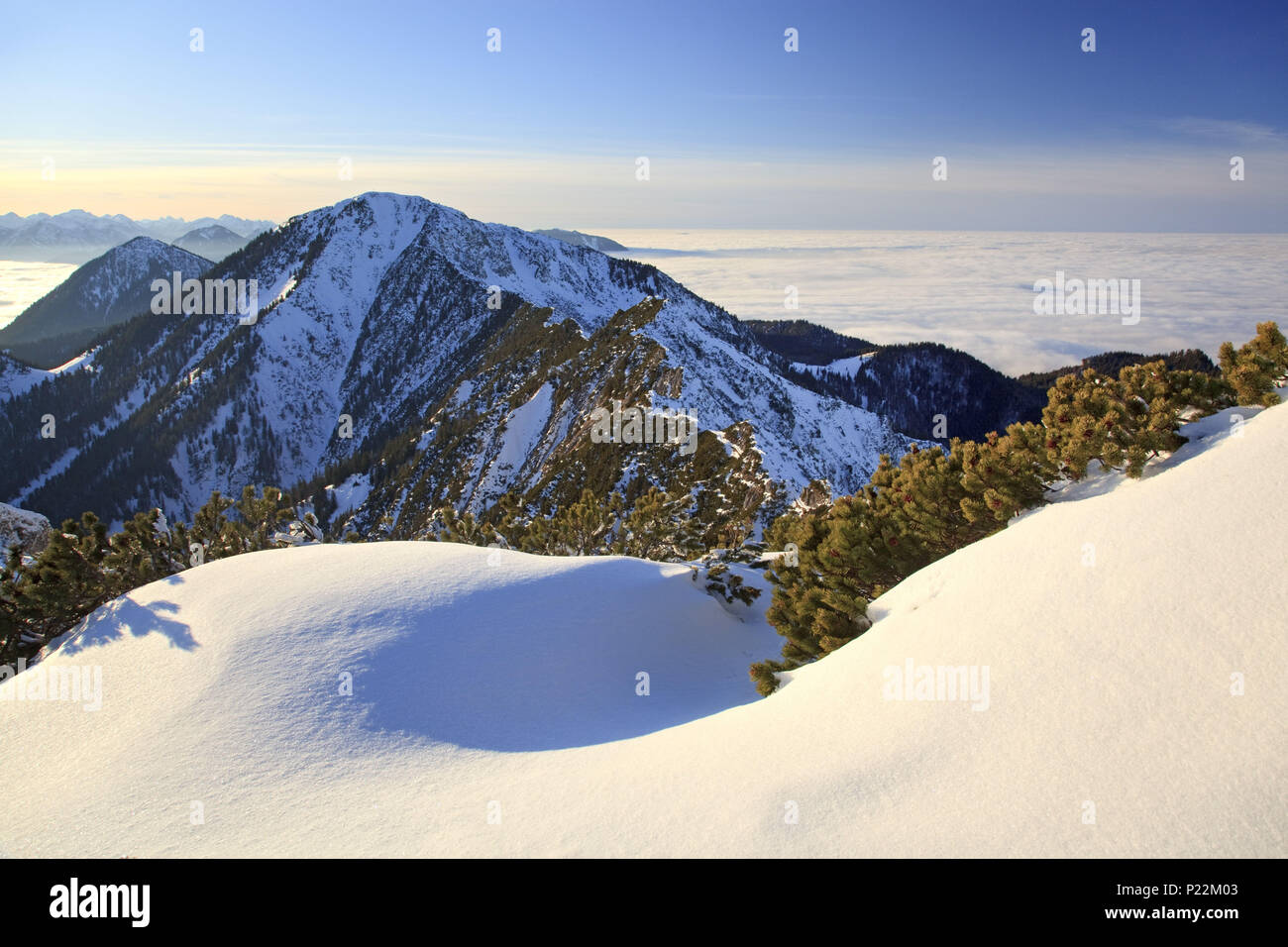 View from the Herzogstand to the Heimgarten, Bavarian Alpine Foreland, Alpine foreland, alps ...