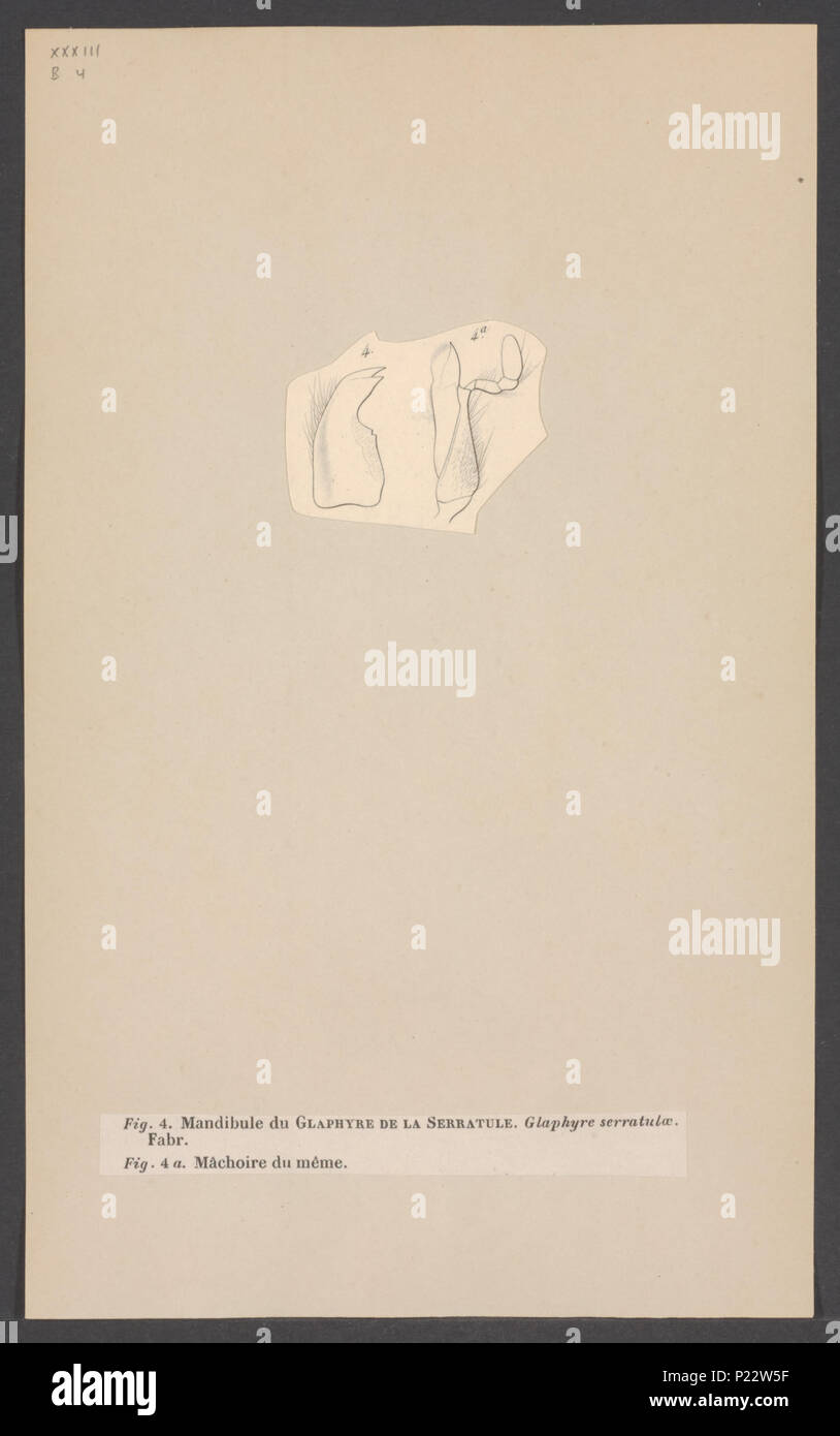 134 001 hi-res stock photography and images - Alamy