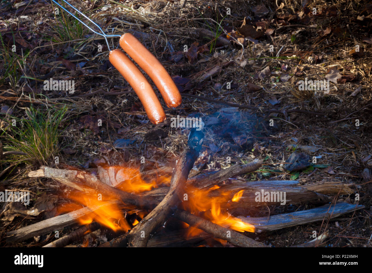 Roasting hot dogs at campfire hi-res stock photography and images - Alamy
