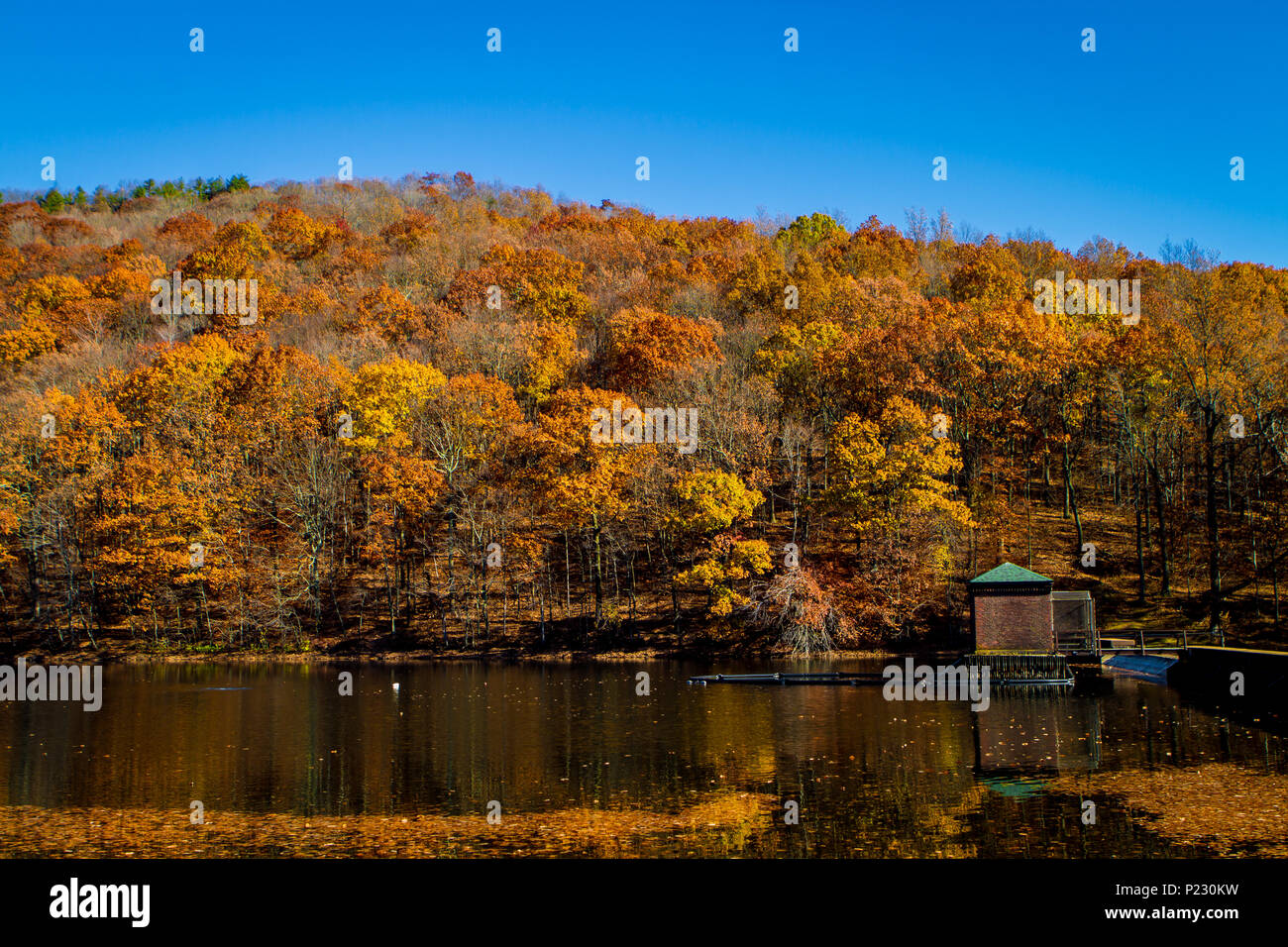 Chauncey Peak ridge covered with fall foliage in Giuffrida Park in ...