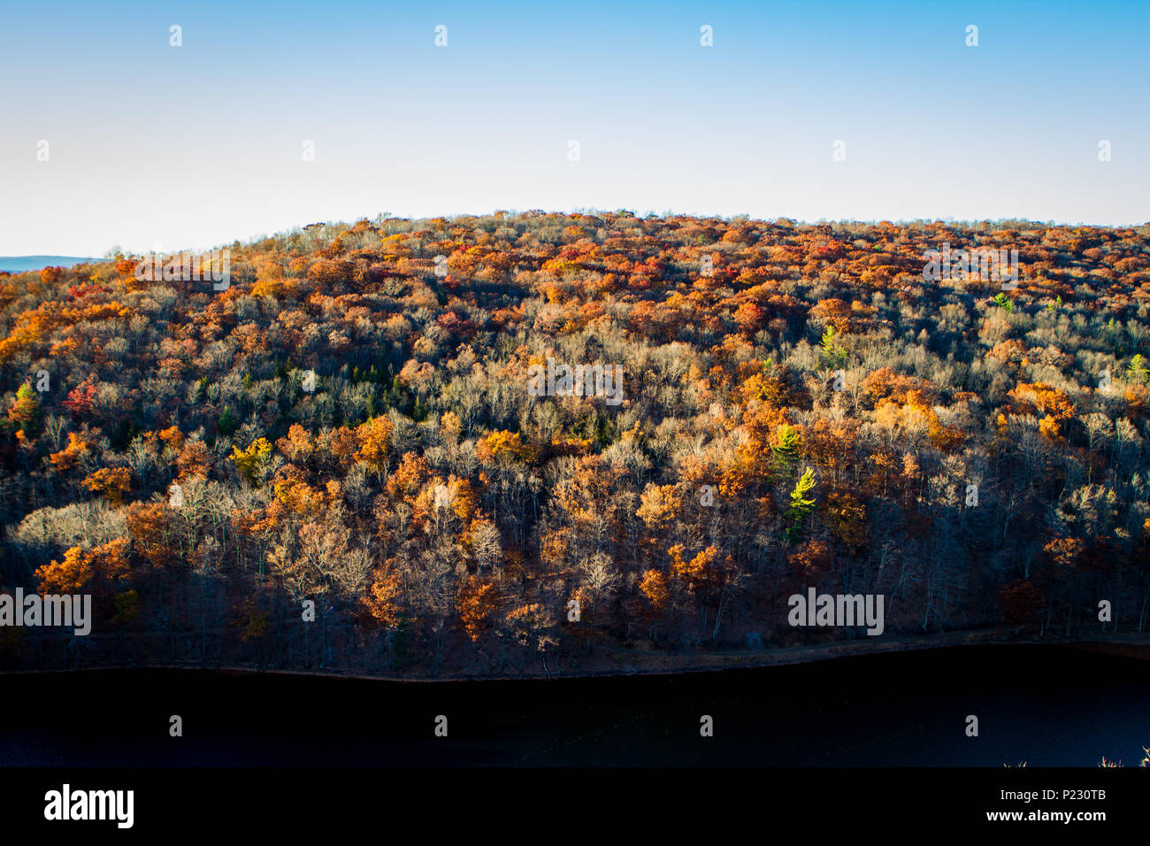 Fall foliage above Bradley Hubbard Reservoir in Giuffrida Park in ...