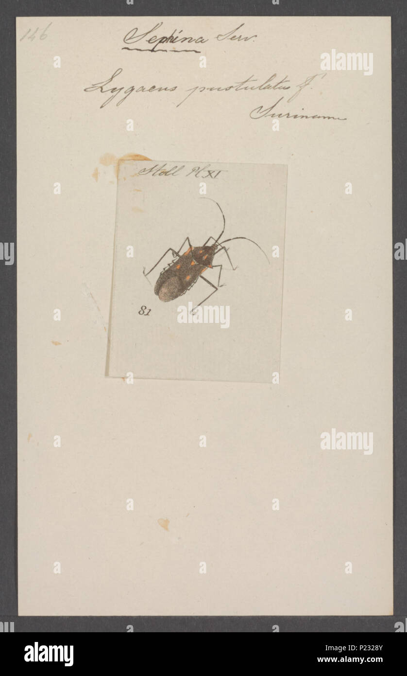 Sephina hi-res stock photography and images - Alamy