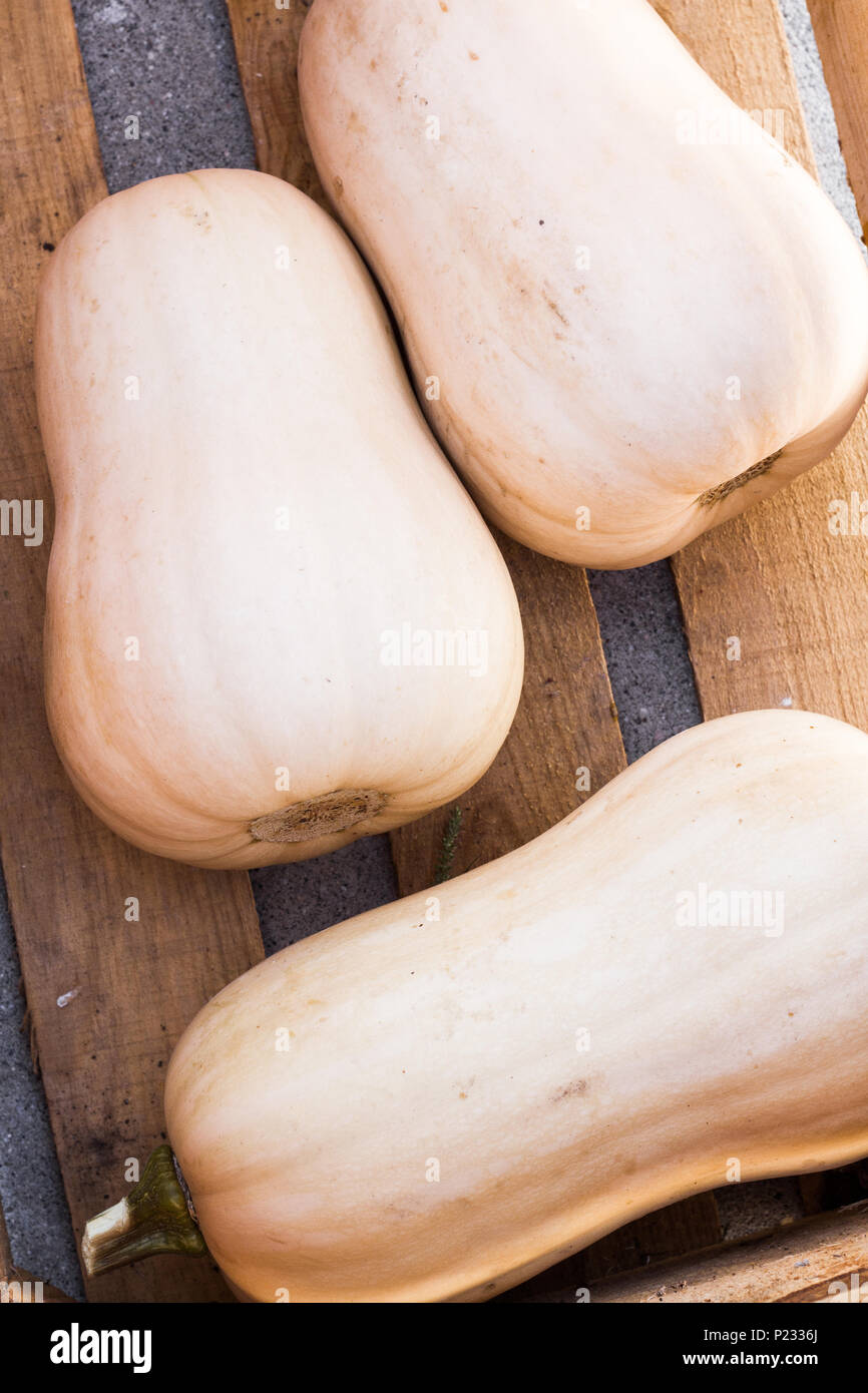 Roasted butternut close up in hi-res stock photography and images - Alamy