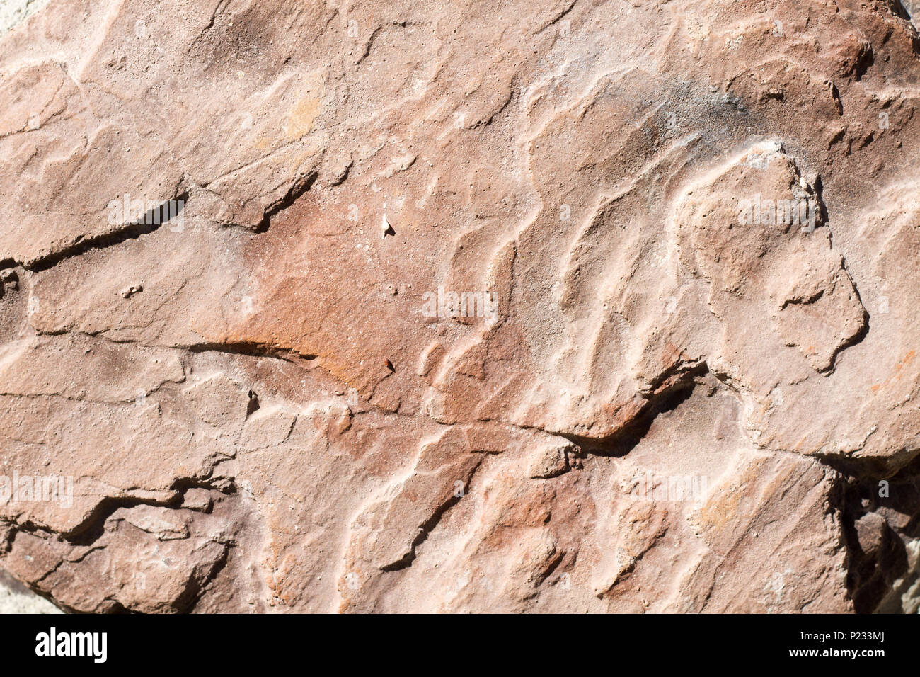 close up detail of tan stone texture cladding Stock Photo - Alamy
