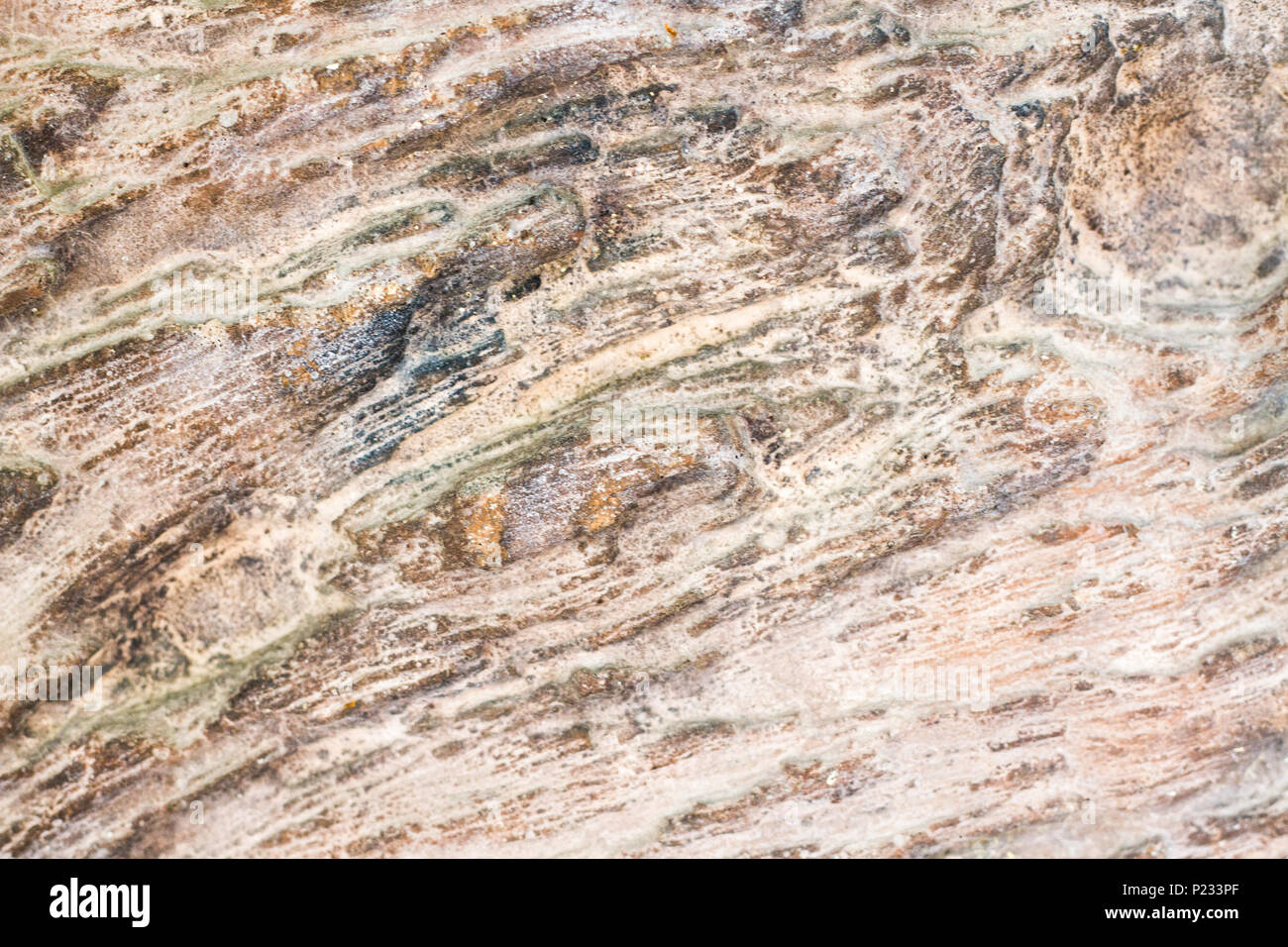 close up detail of tan stone texture cladding Stock Photo - Alamy