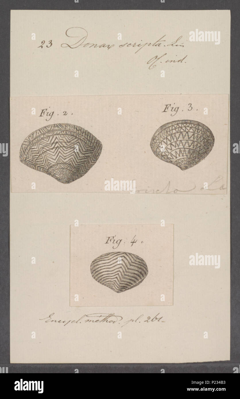 83 0018 hi-res stock photography and images - Alamy