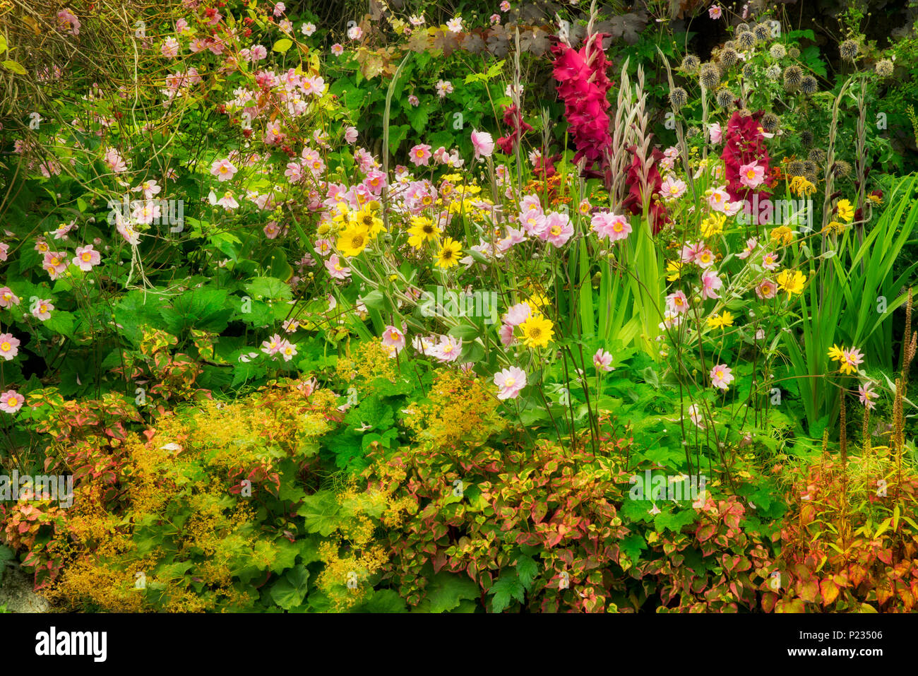 Garden at domoland castle hi-res stock photography and images - Alamy