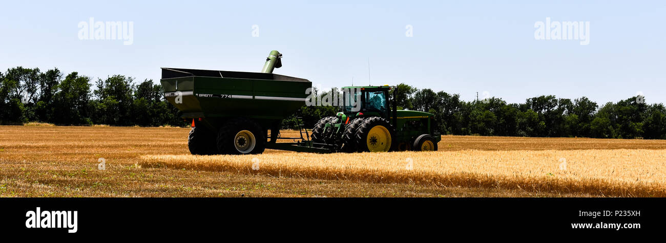 Tractor harvest in hot day hi-res stock photography and images - Alamy