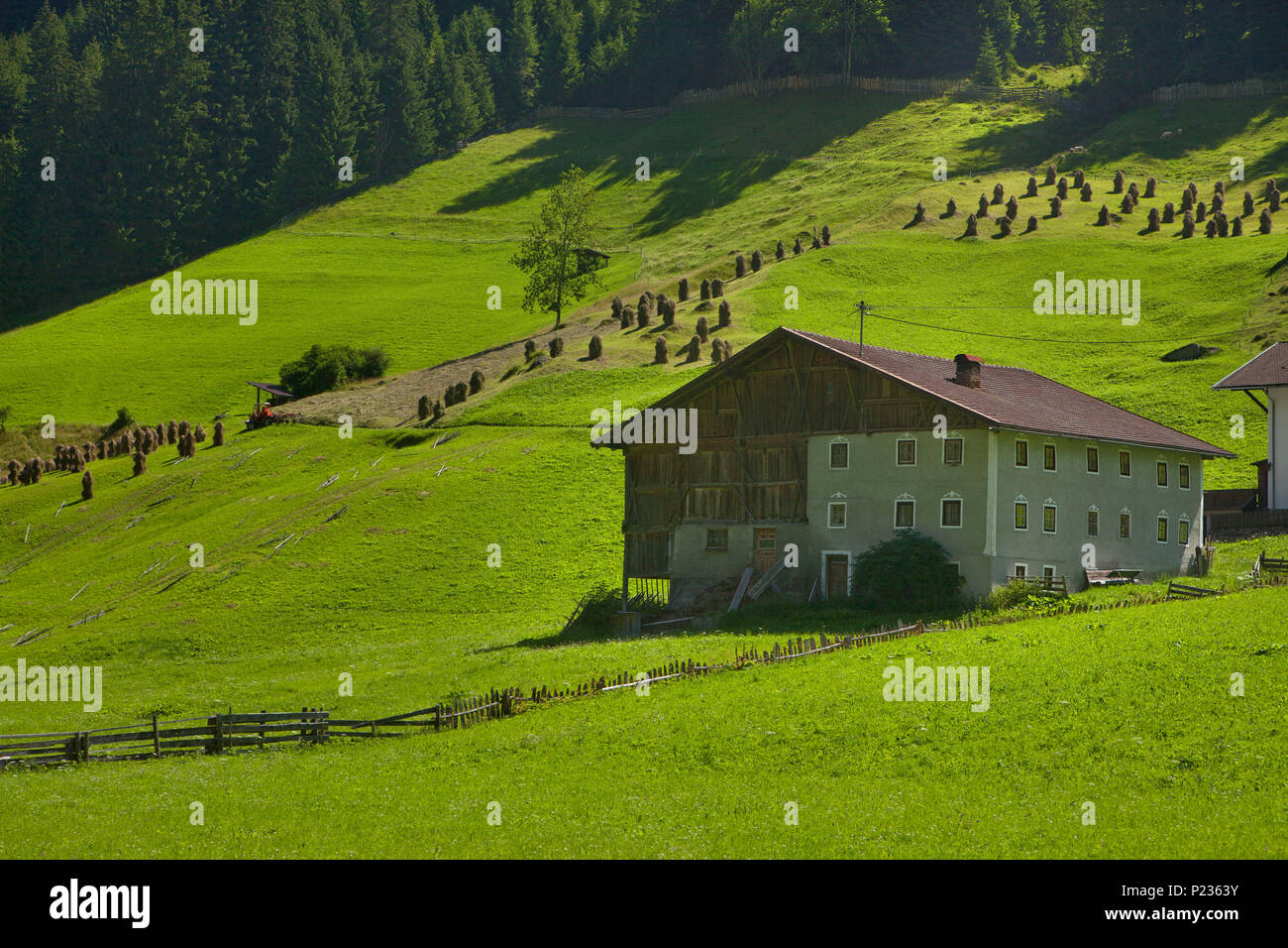 Stangger hi-res stock photography and images - Alamy