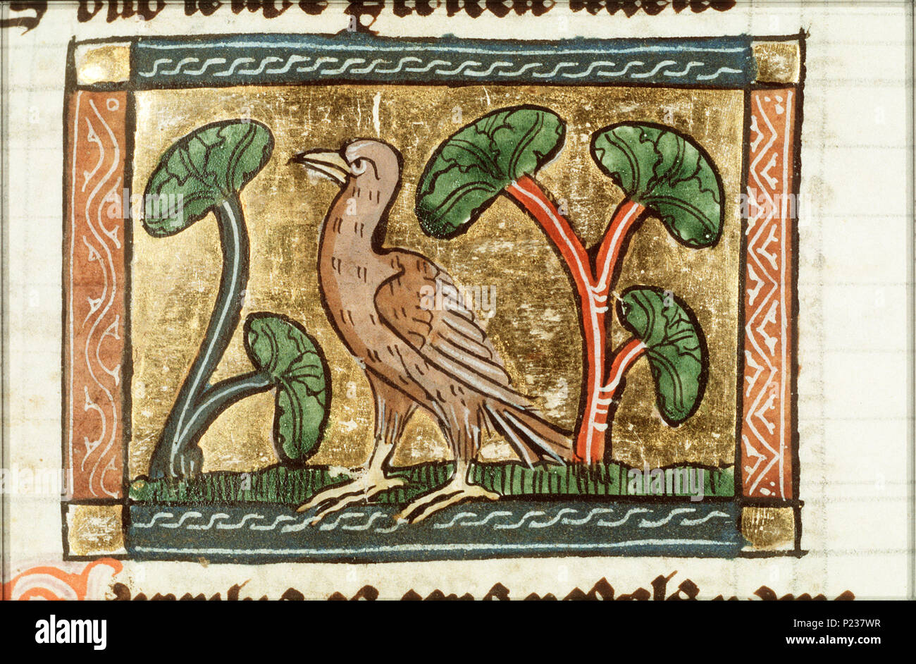 . Garrulus (jay) - miniature from folio 090r from Der naturen bloeme ...
