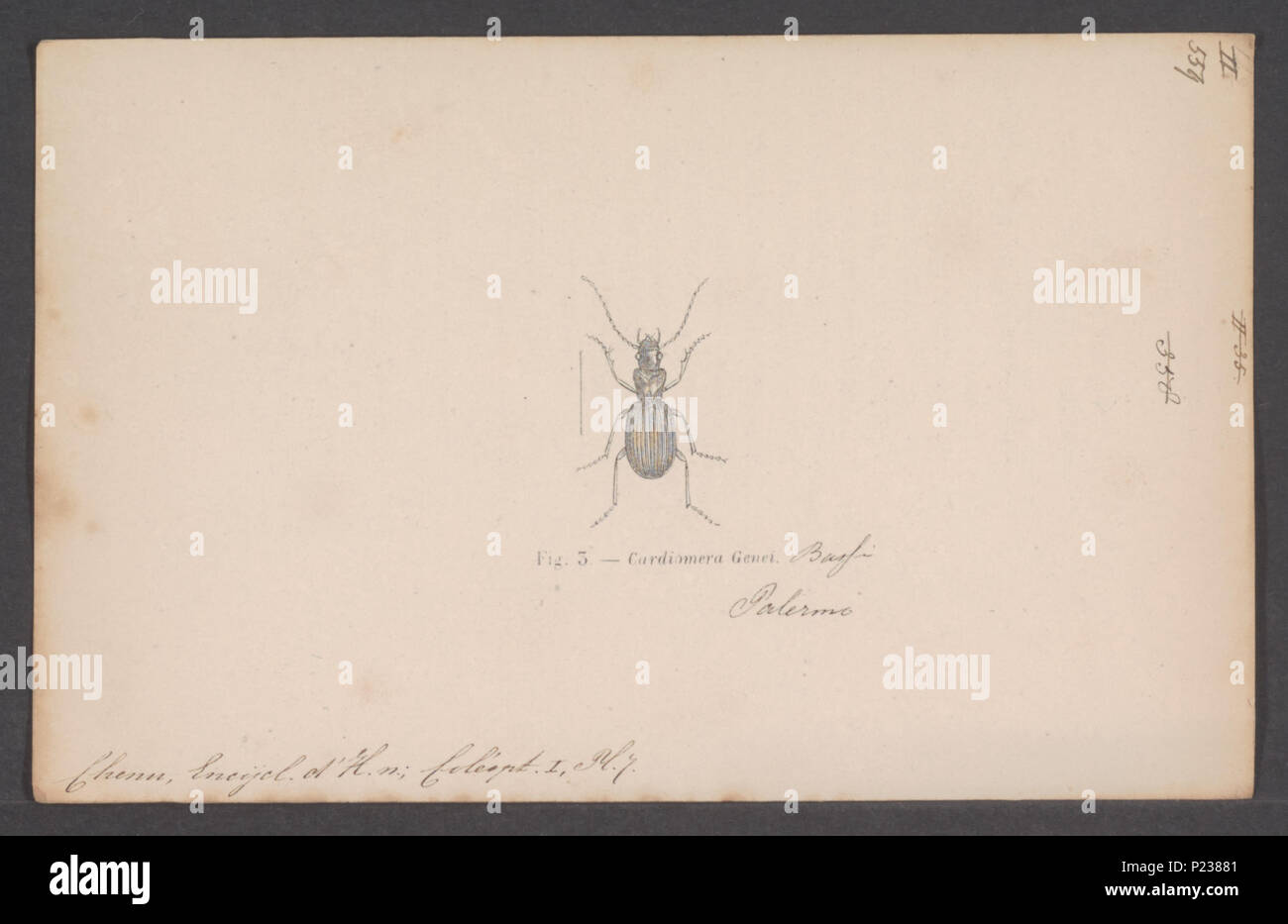 51 012 hi-res stock photography and images - Alamy