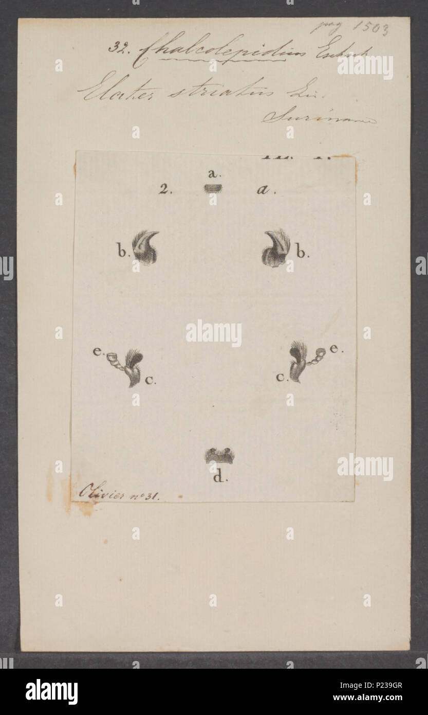 18 023 hi-res stock photography and images - Alamy