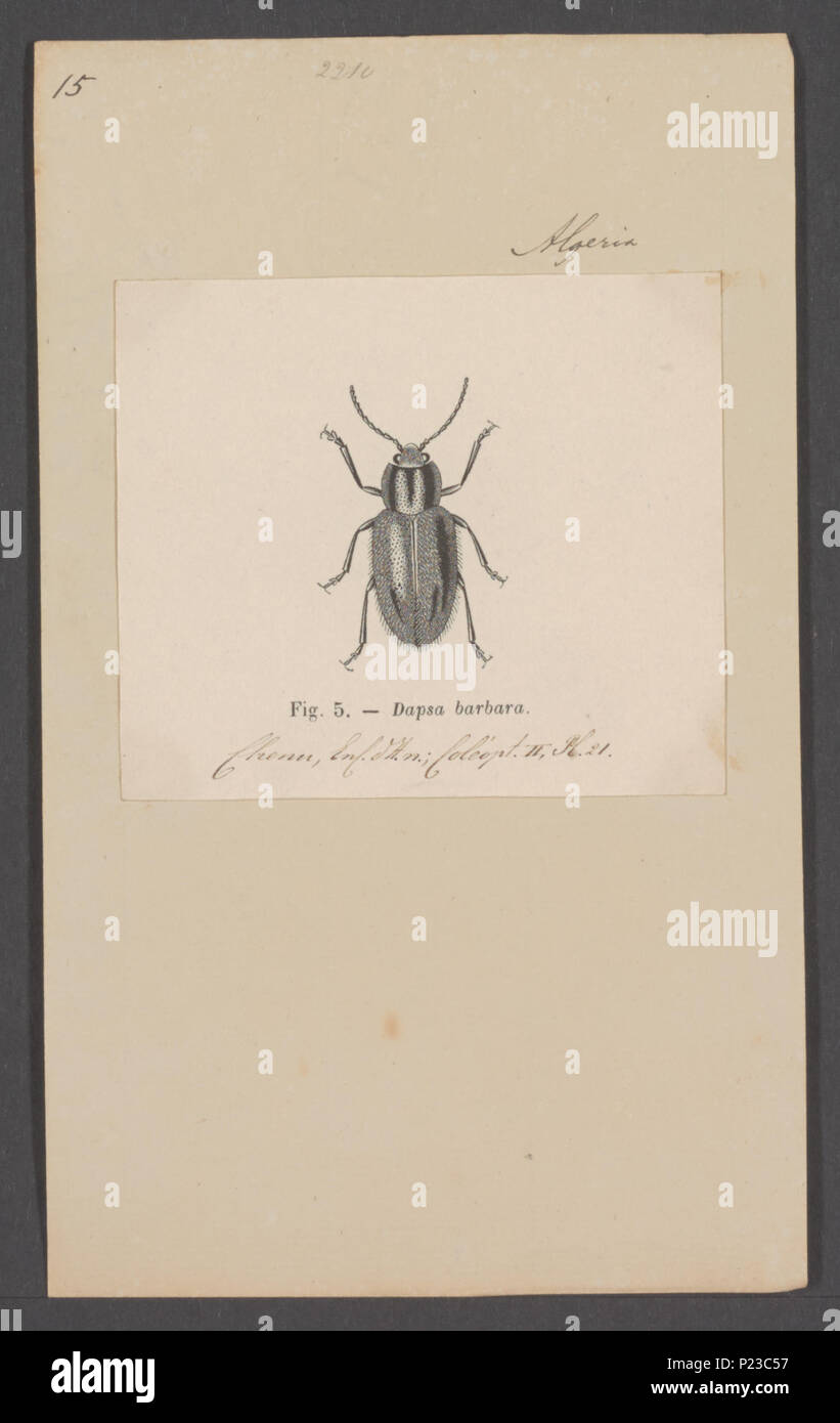 Dapsa hi-res stock photography and images - Alamy